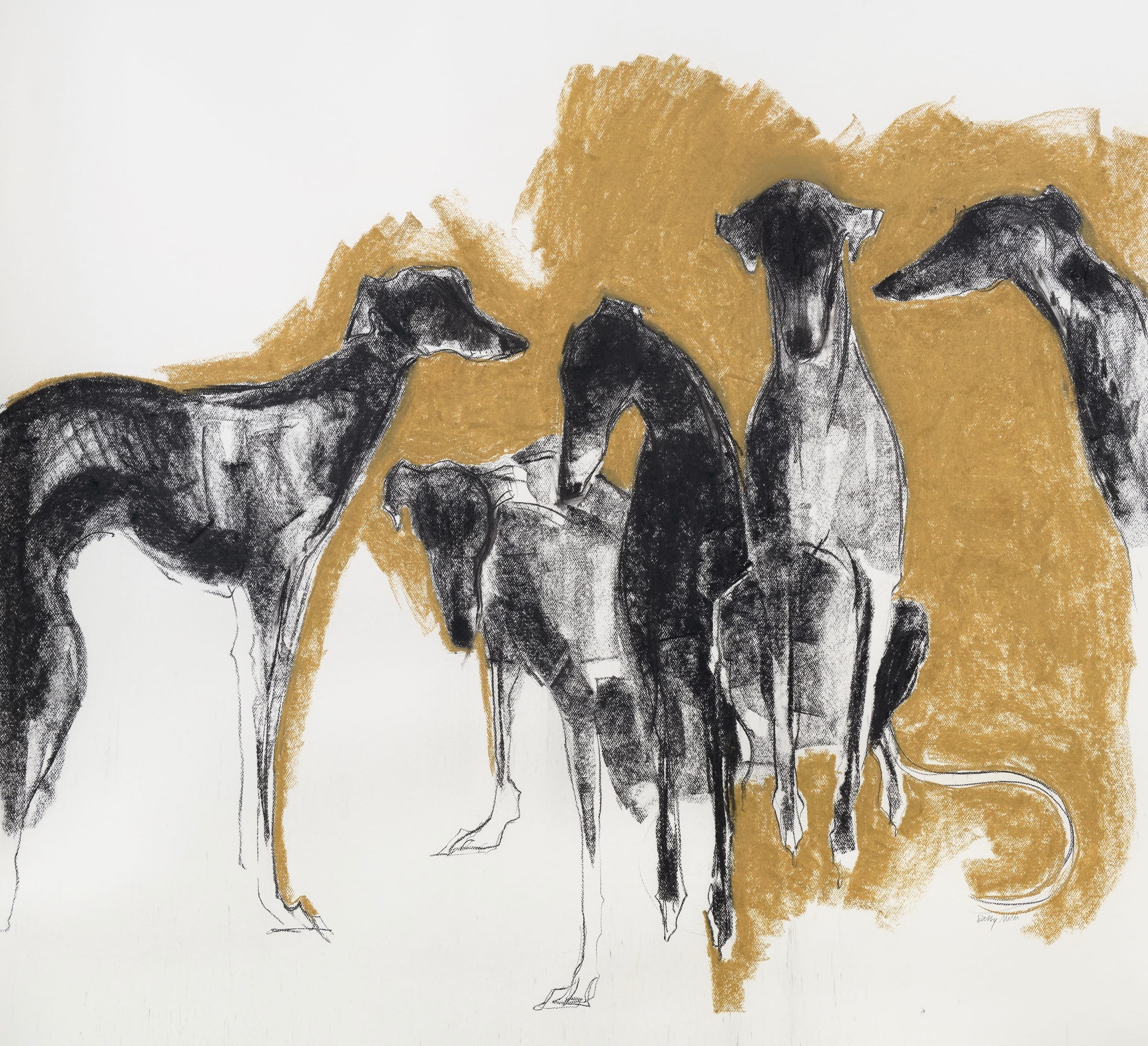 Sally Muir, Five Galgos | Cricket Fine Art