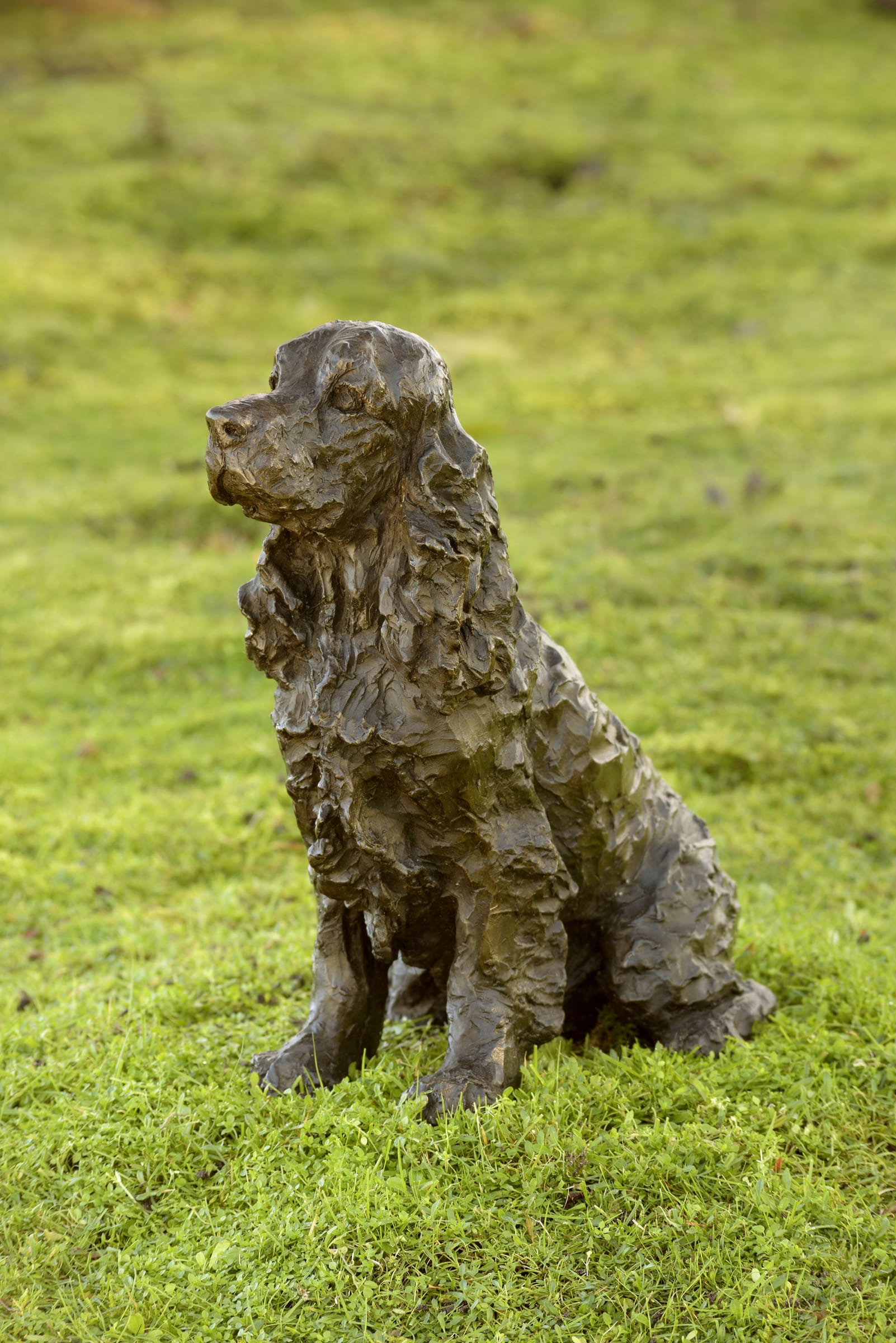 Rosemary Cook, Polly - Cocker Spaniel, Life-size | Cricket Fine Art