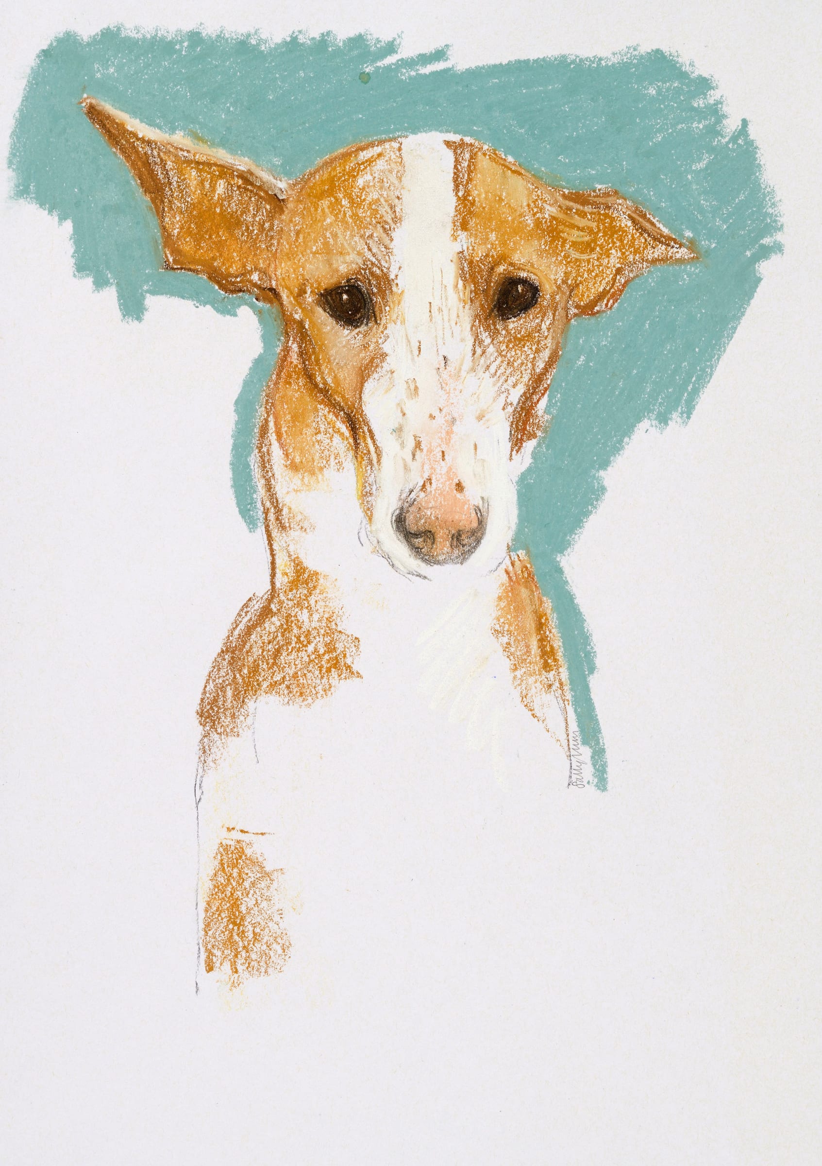 Sally Muir, Ava | Cricket Fine Art