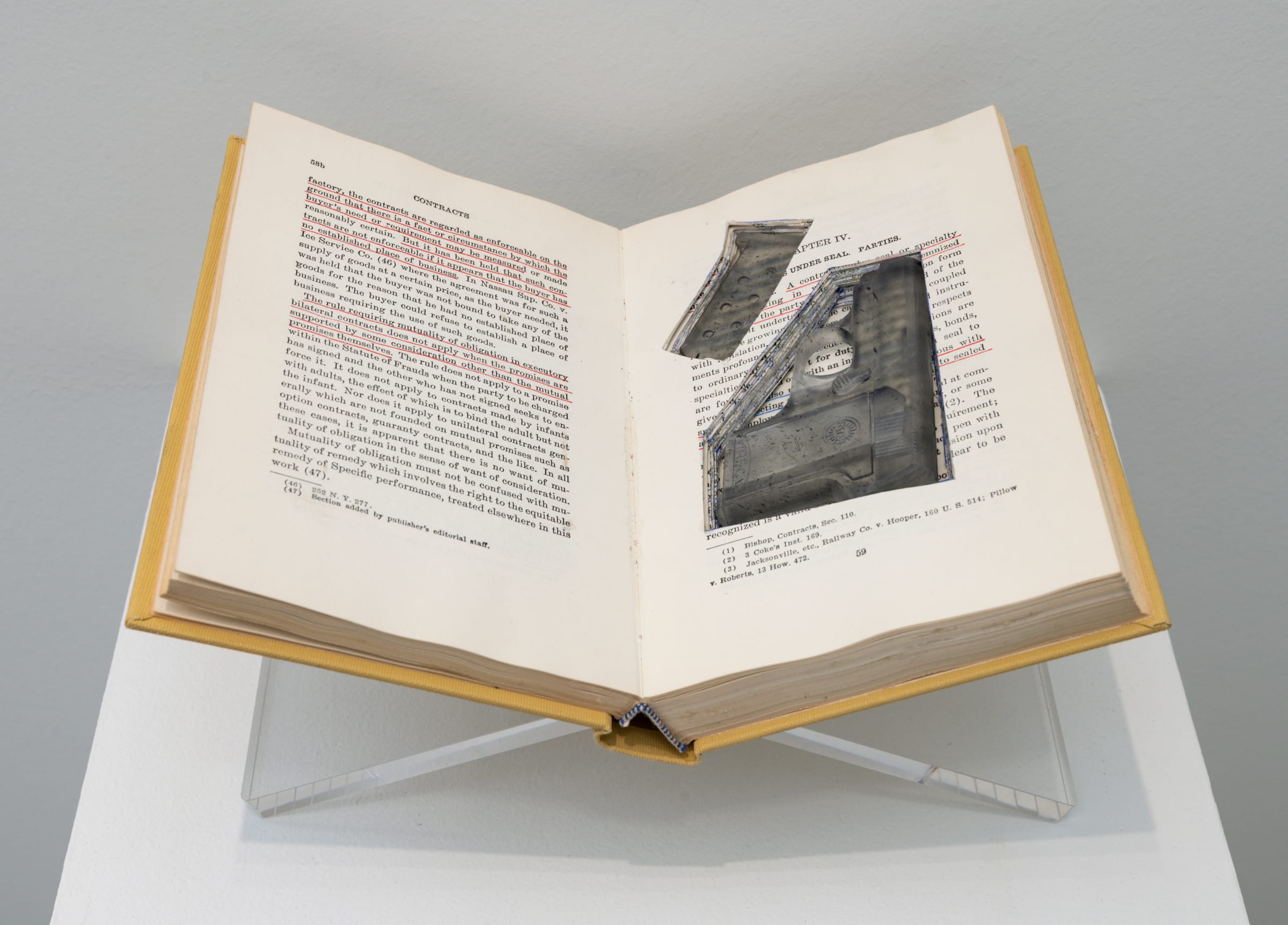 Dread Scott, The Book of Nelson, 2024 | Cristin Tierney