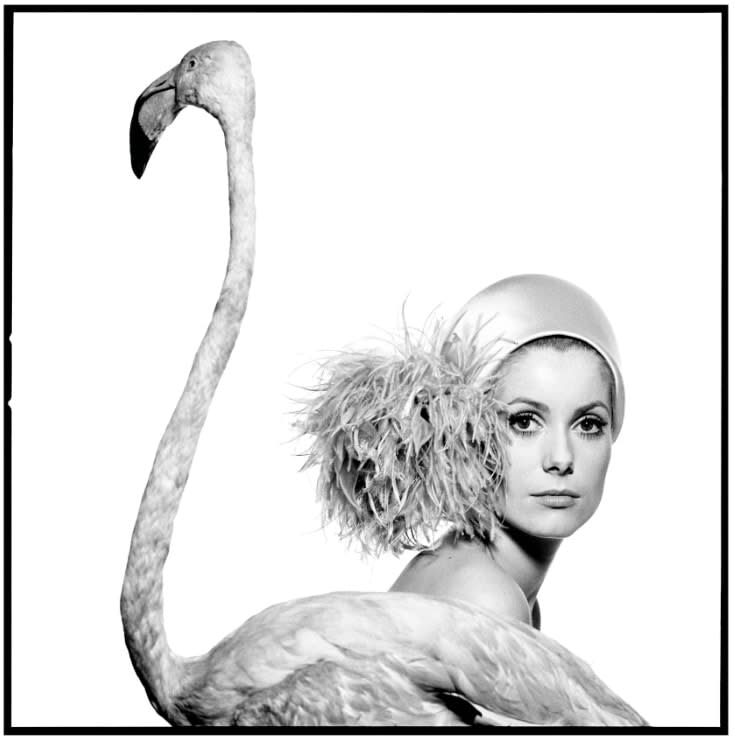 David Bailey, Catherine Deneuve, Flamingo, 1966 | Dellasposa