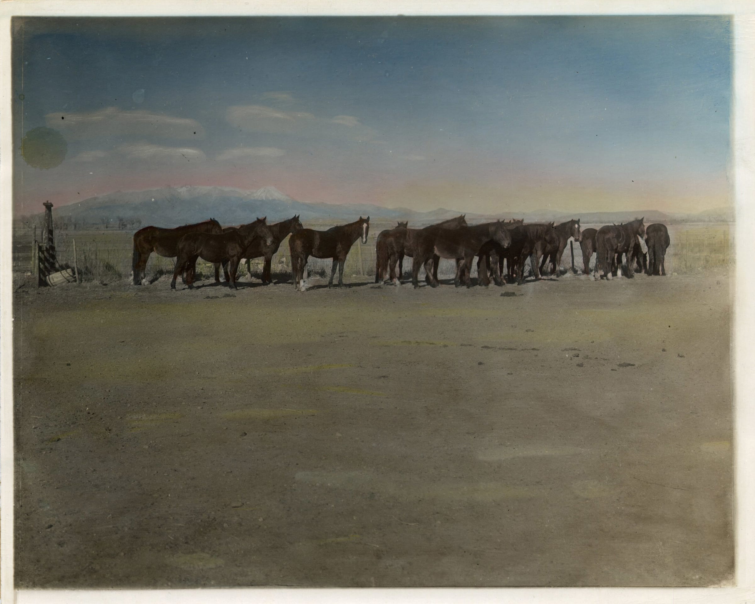O.T. Davis, Hand-Colored Photos of a Colorado Farm, 1920s | Daniel / Oliver
