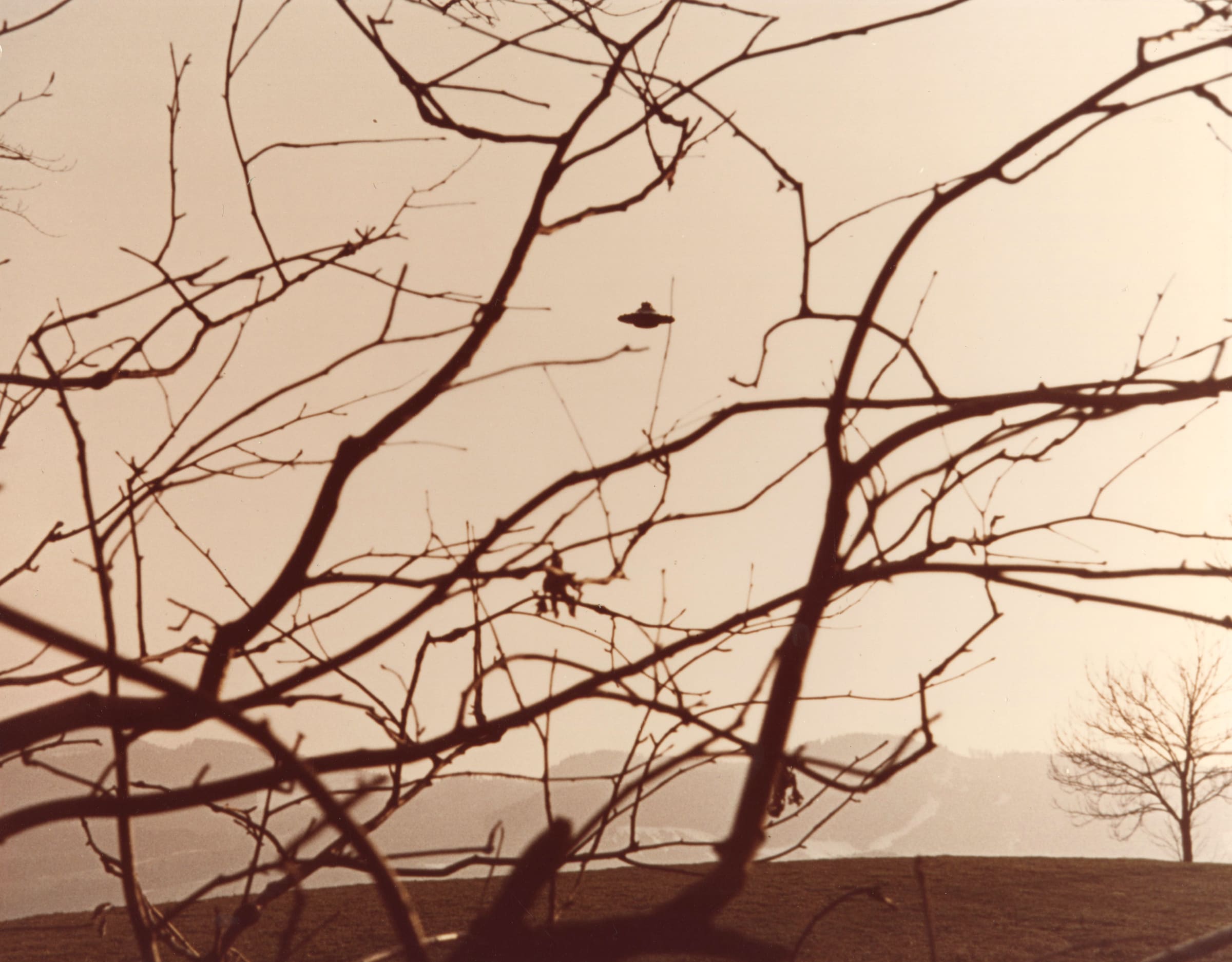 "Billy" Eduard Albert Meier, Beamship Through the Trees, Hasenböl ...
