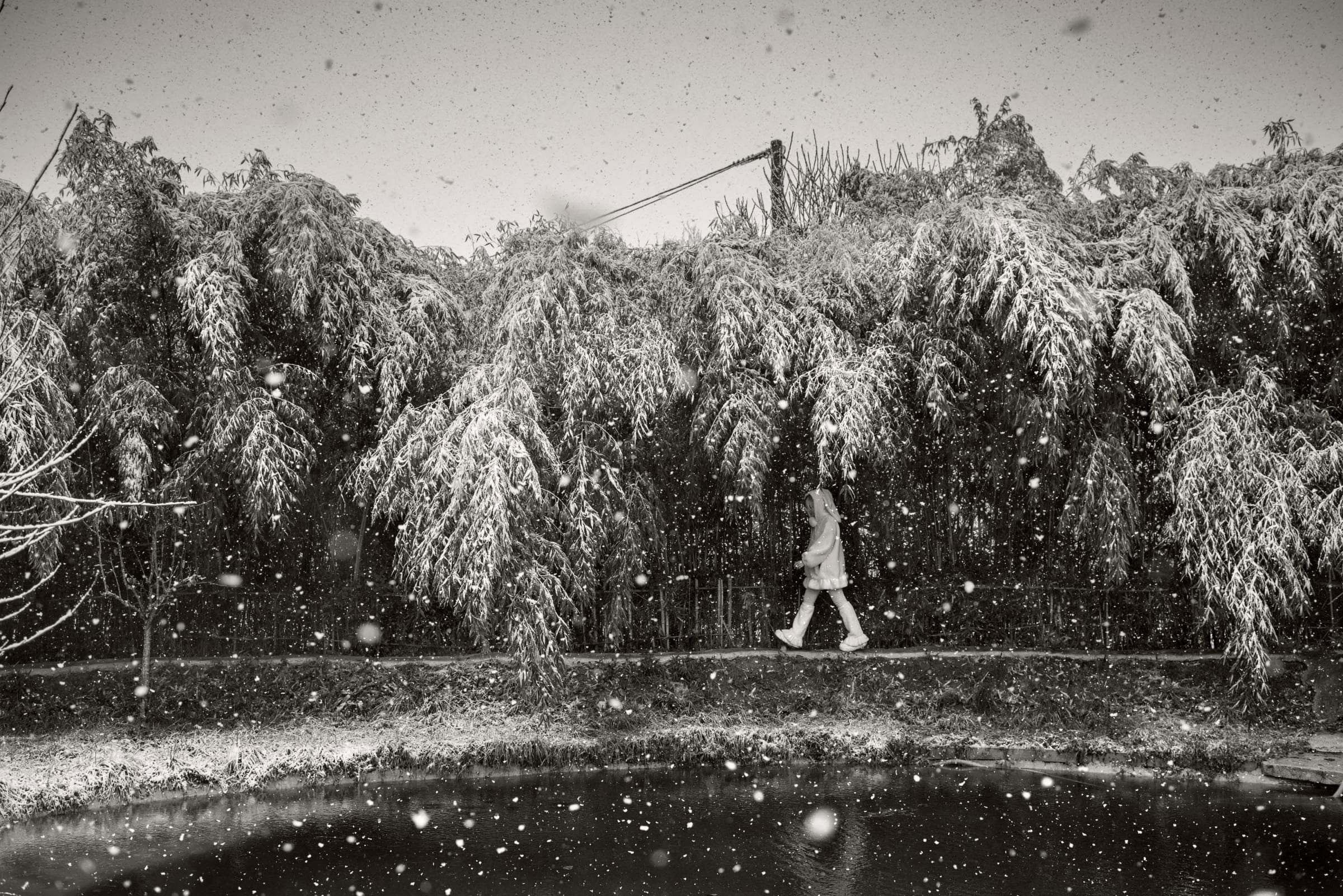 Alain Laboile, Polaire, 2023 | Echo Fine Arts