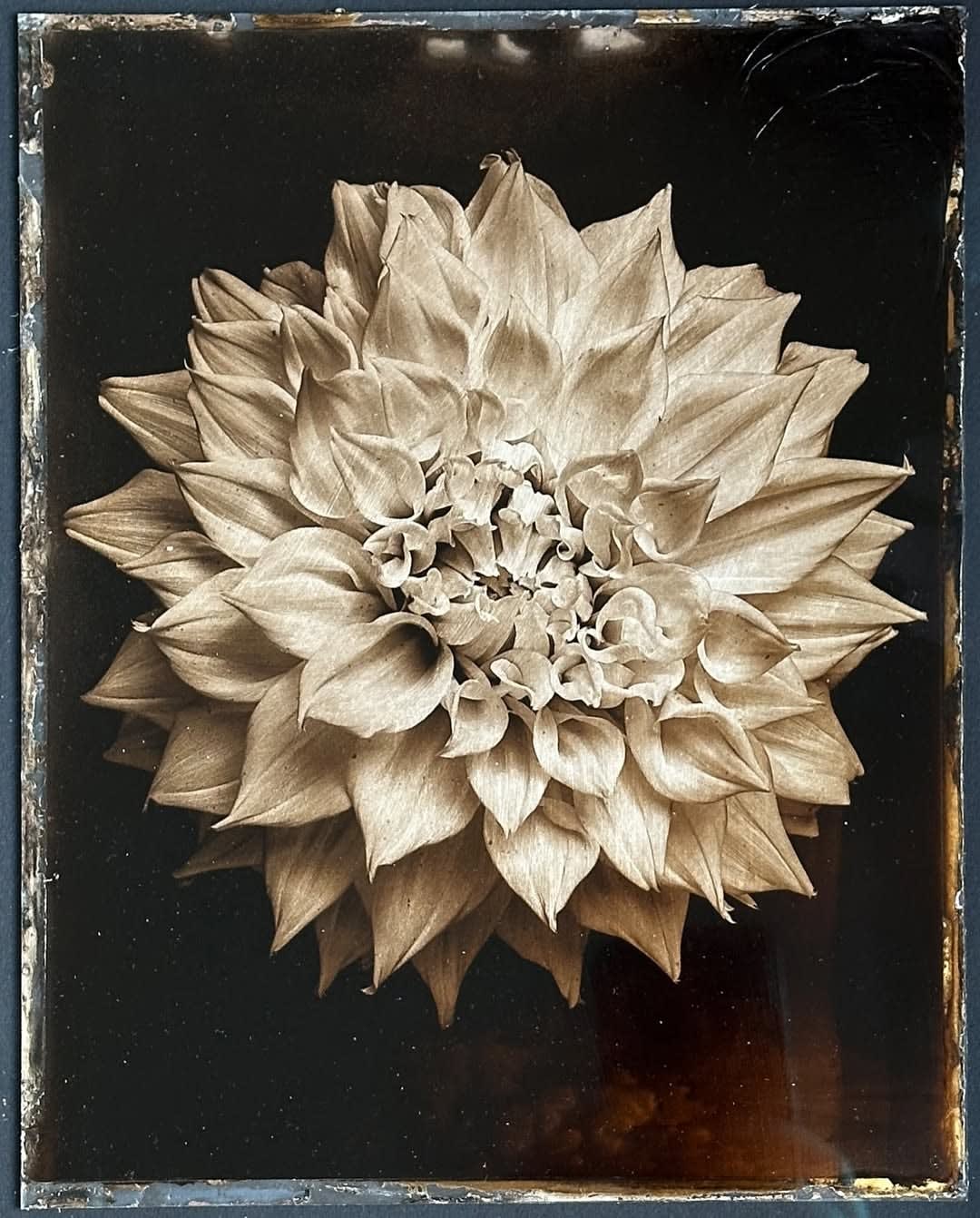 Jan C. Schlegel, Plate #2, 2025 | Echo Fine Arts