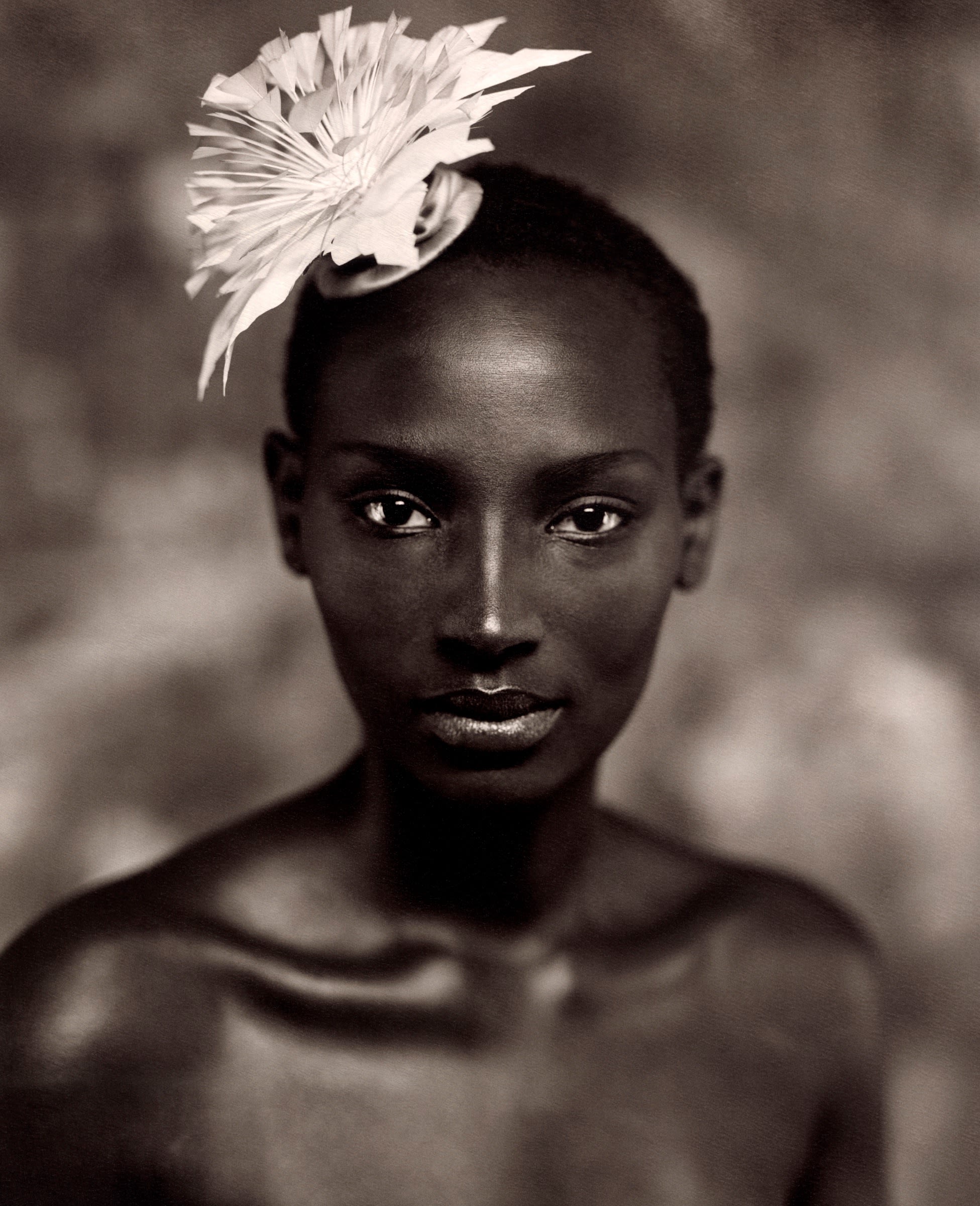 Marc Lagrange, Black Flower, 2008 | Echo Fine Arts