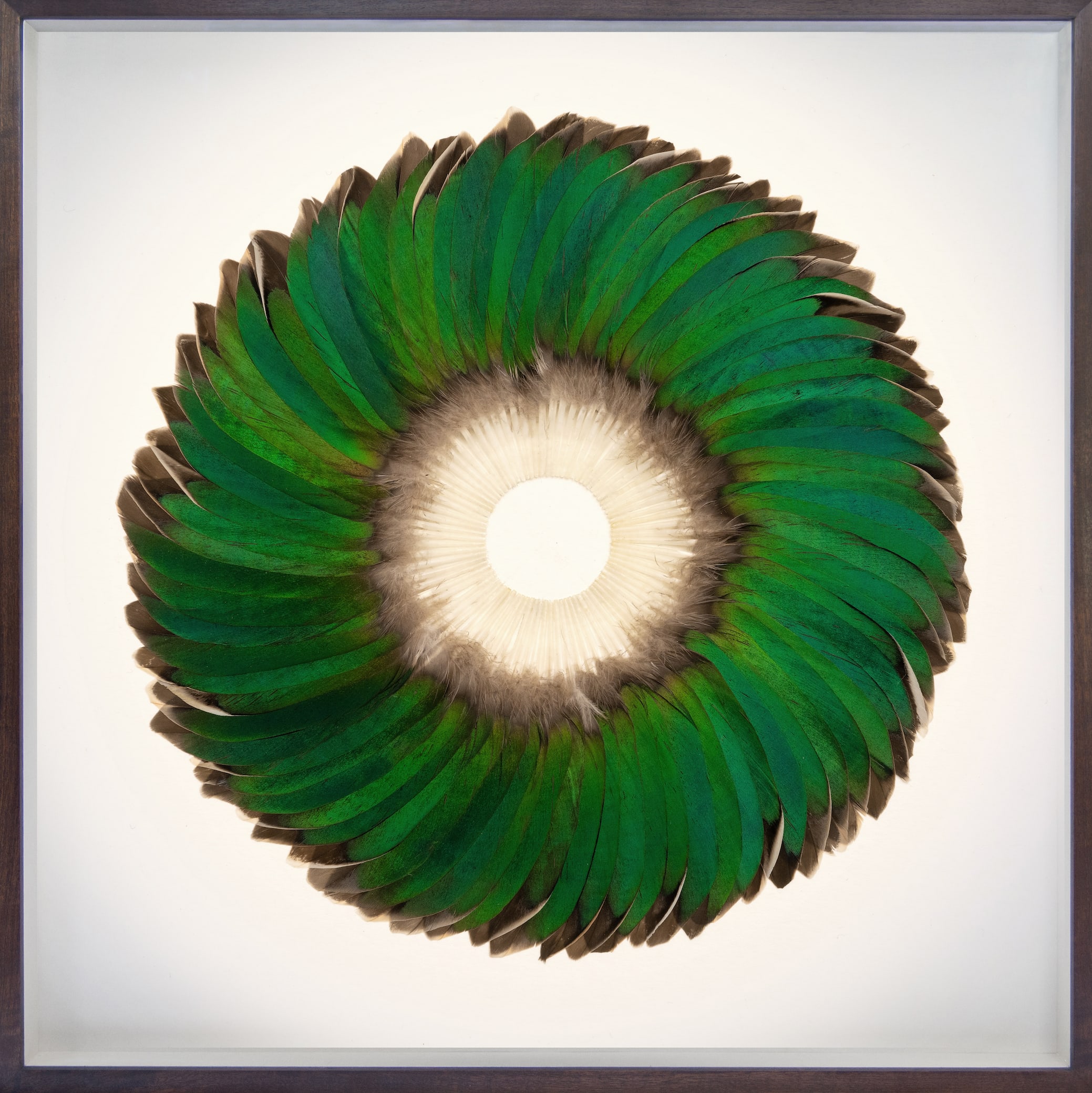 Kate MccGwire, SEPAL CRECCA IV, 2025 | Les filles du calvaire