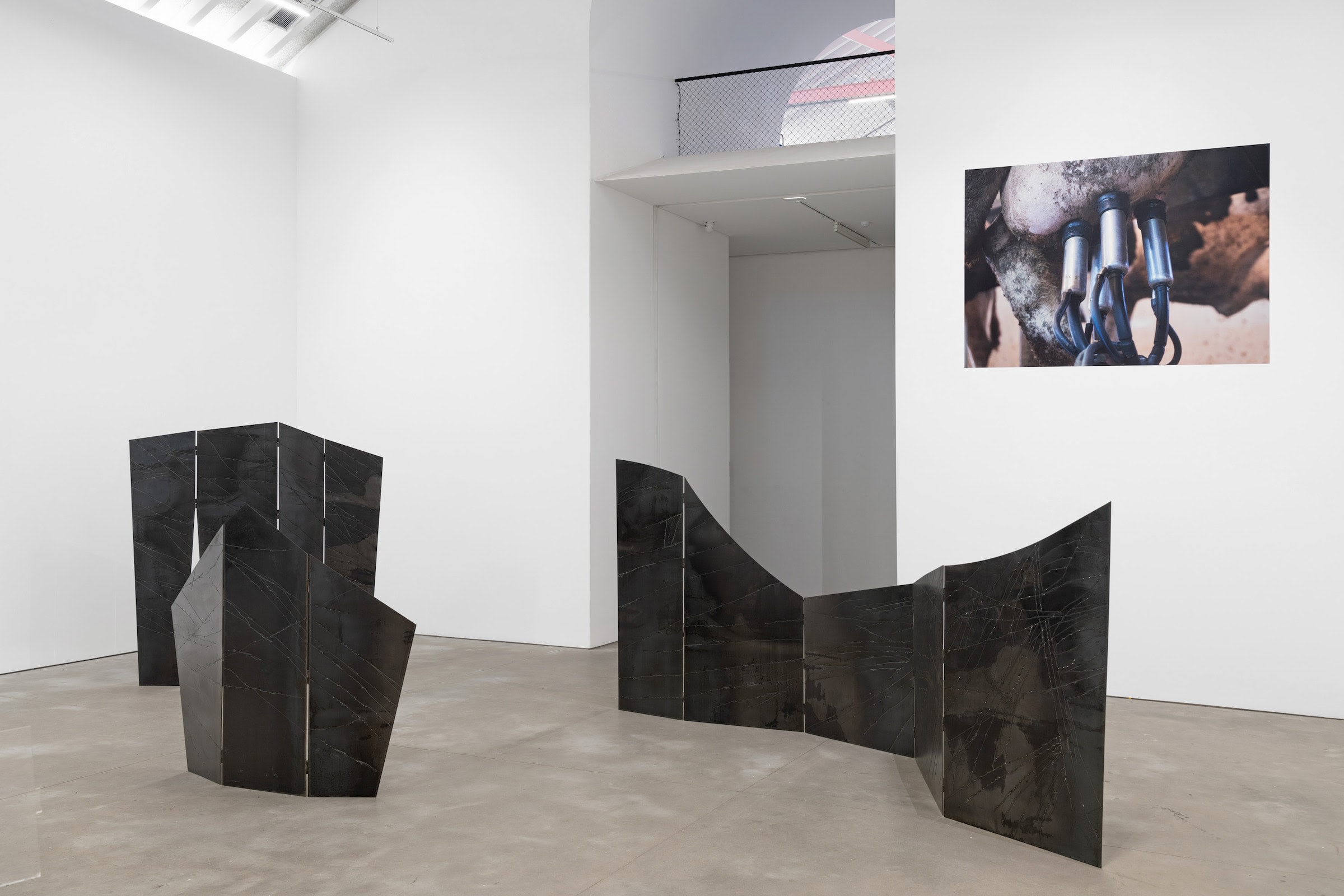 Maria Máximo, Licking the Tyranny, 2025 | Galeria Francisco Fino