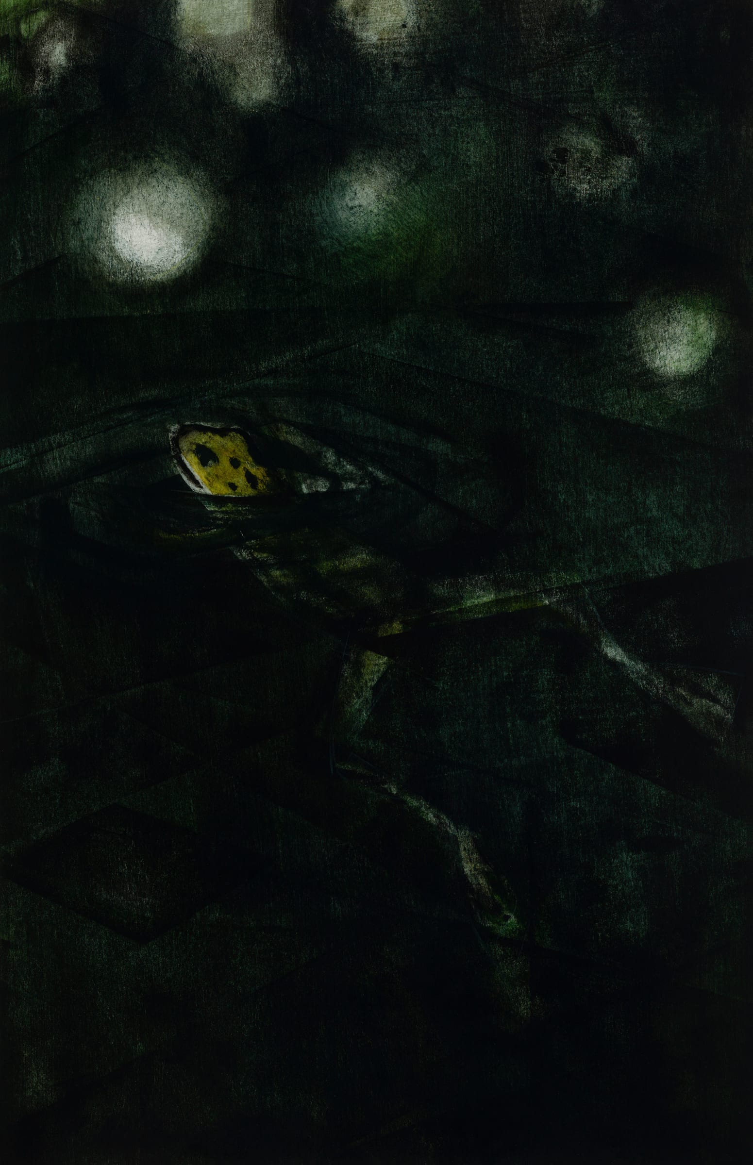 Iris Schomaker, Frosch, 2025 | Galerie Thomas Schulte