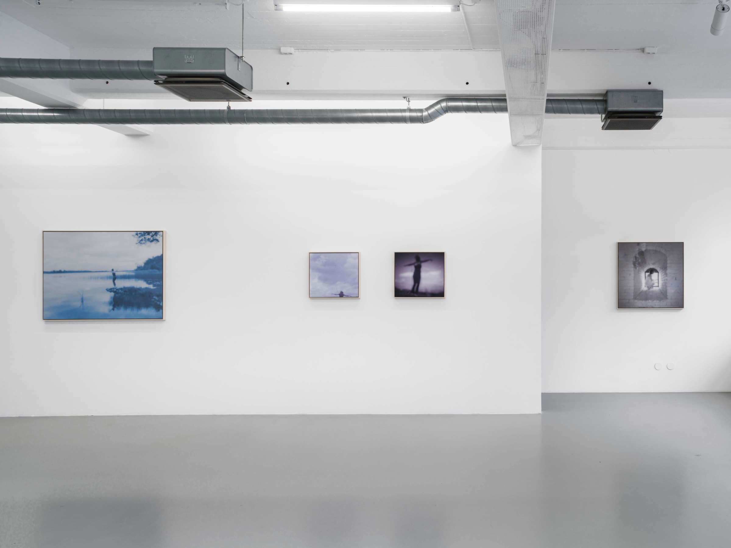 Joanne Grüne-Yanoff, Cassandra's Rim II | Galleri Duerr