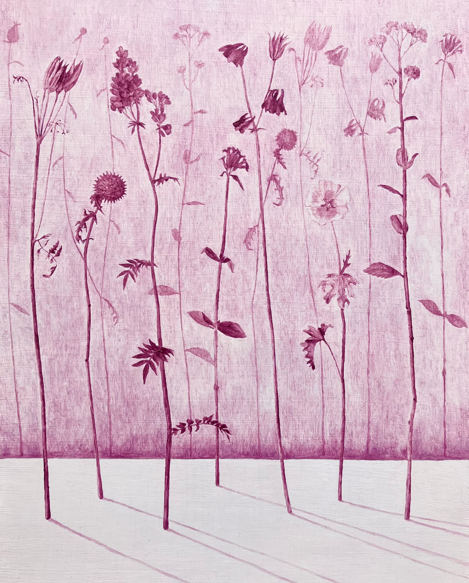 MARIA HALL, Beröringens rodnad – Flora II, 2023 | Galleri Glas