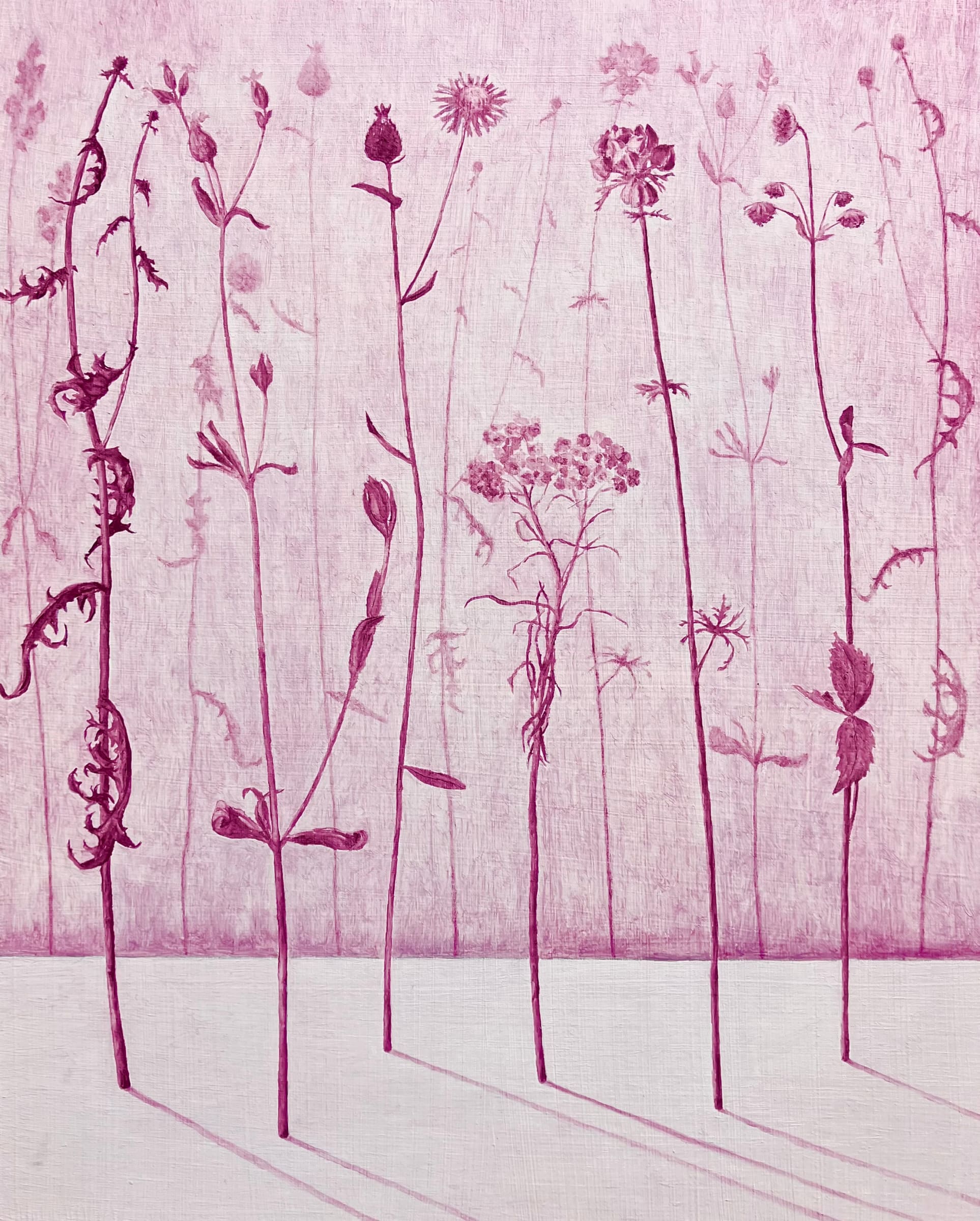 MARIA HALL, Beröringens rodnad – Flora I, 2023 | Galleri Glas