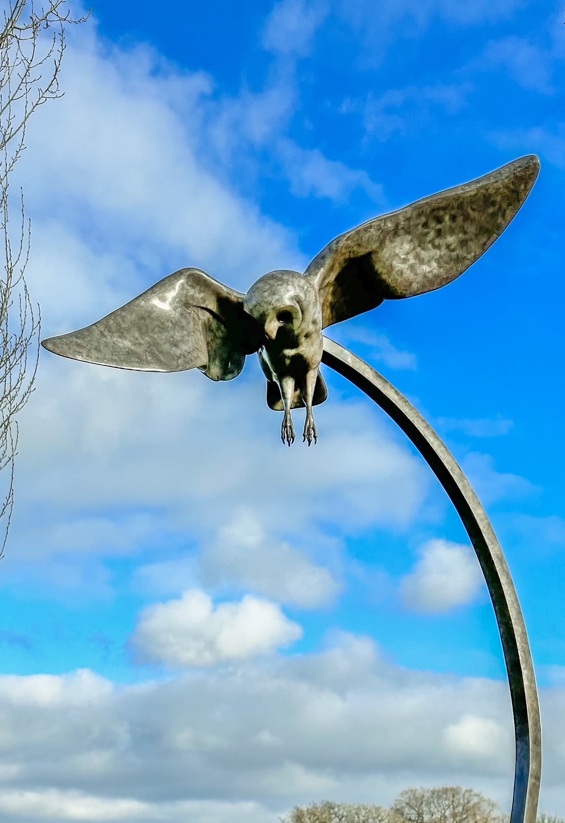 Carl Longworth, Farrell Owl | Gallery by the Lakes