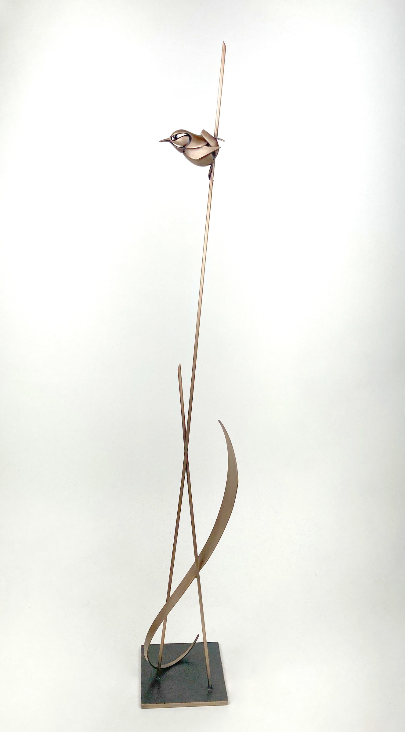 Don Rambadt, Wren on Reed, 2022 | Gallery by the Lakes