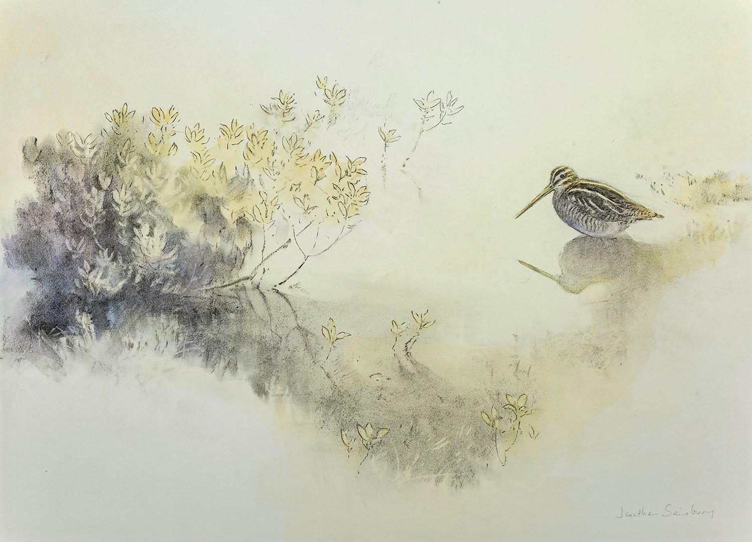 Jonathan Sainsbury, Bog Myrtle and Snipe | Gallery by the Lakes