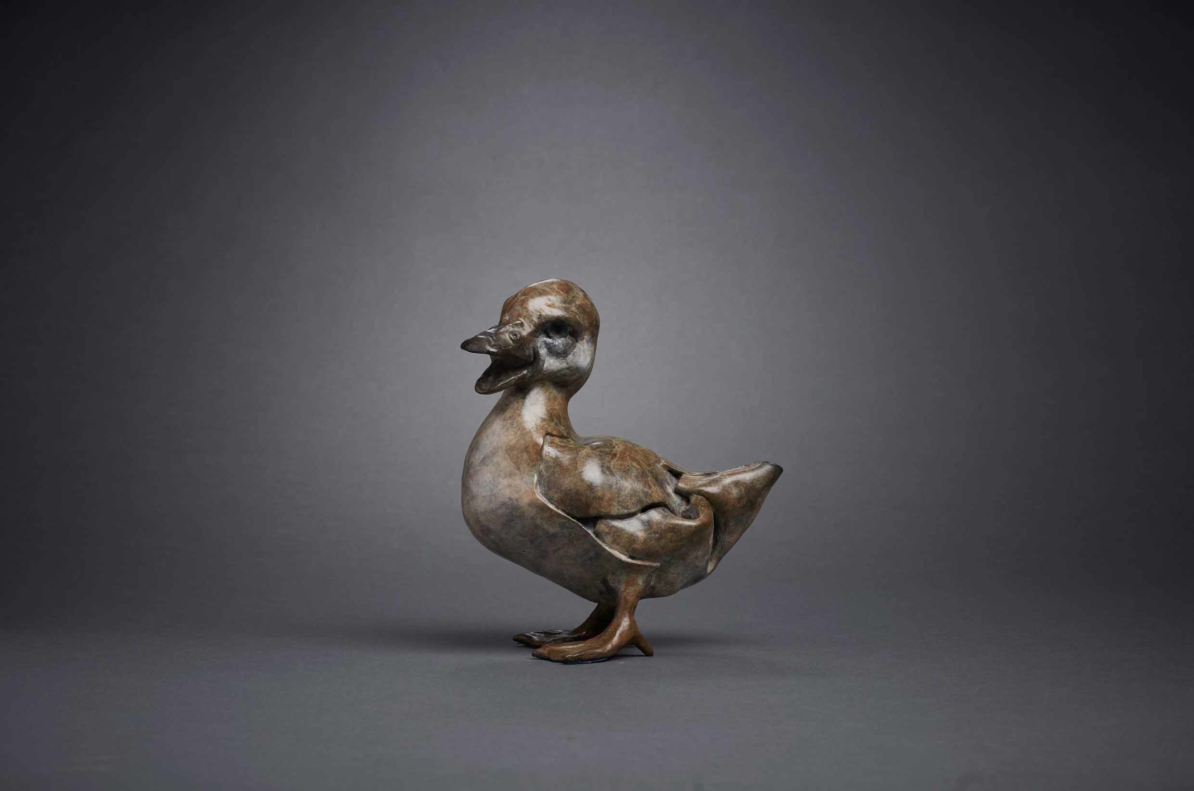 Fred Gordon, Quacking Duckling, 2021 | Gallery by the Lakes