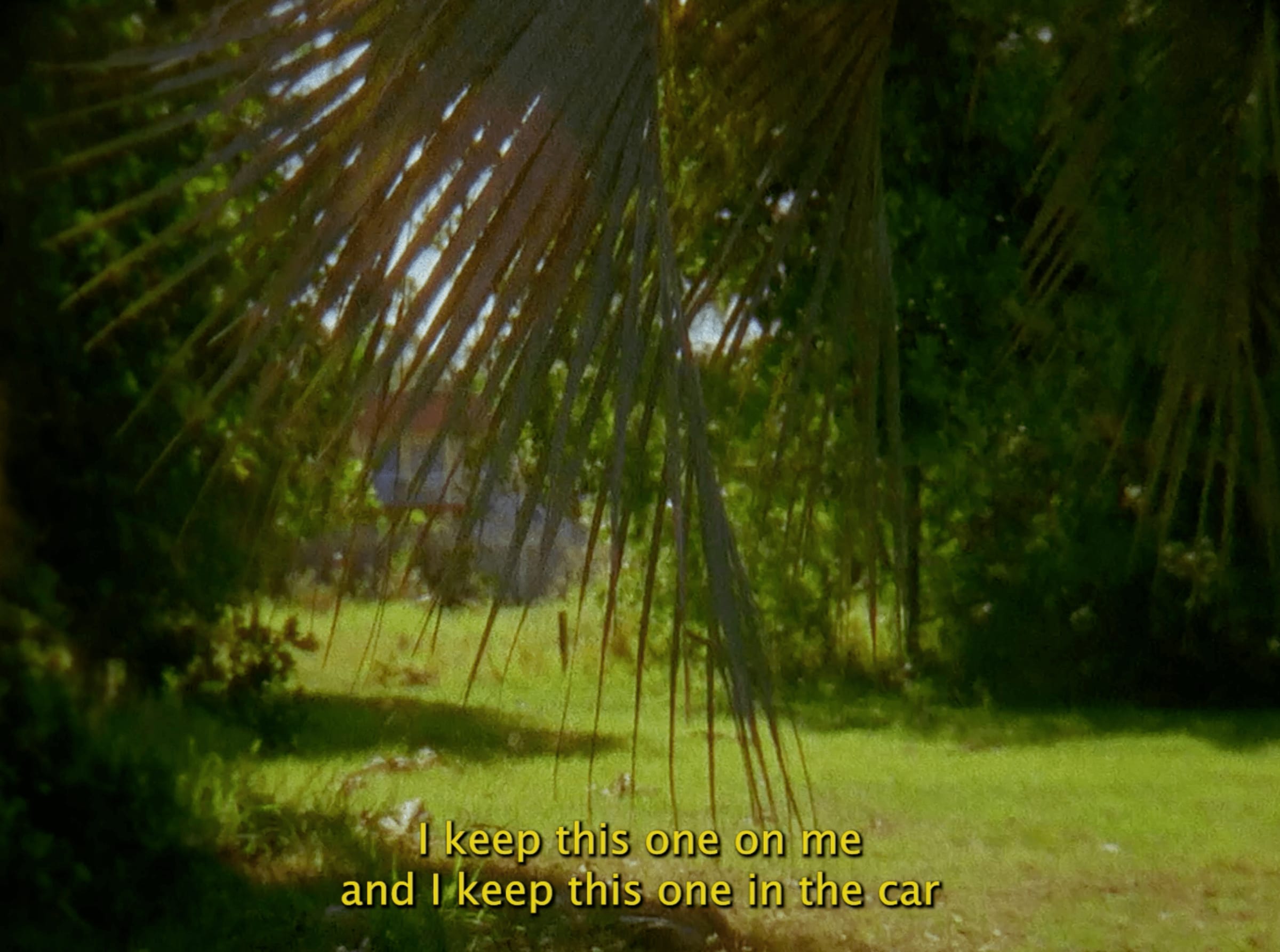 Salim Green, Nax Steel’s Halloween, 2022 | François Ghebaly