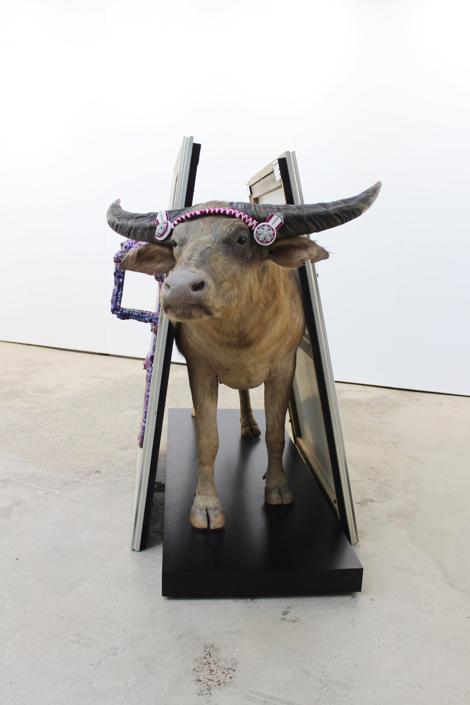 Dale Frank, The Very Deceptive Bride, 2019/2025 | Gow Langsford