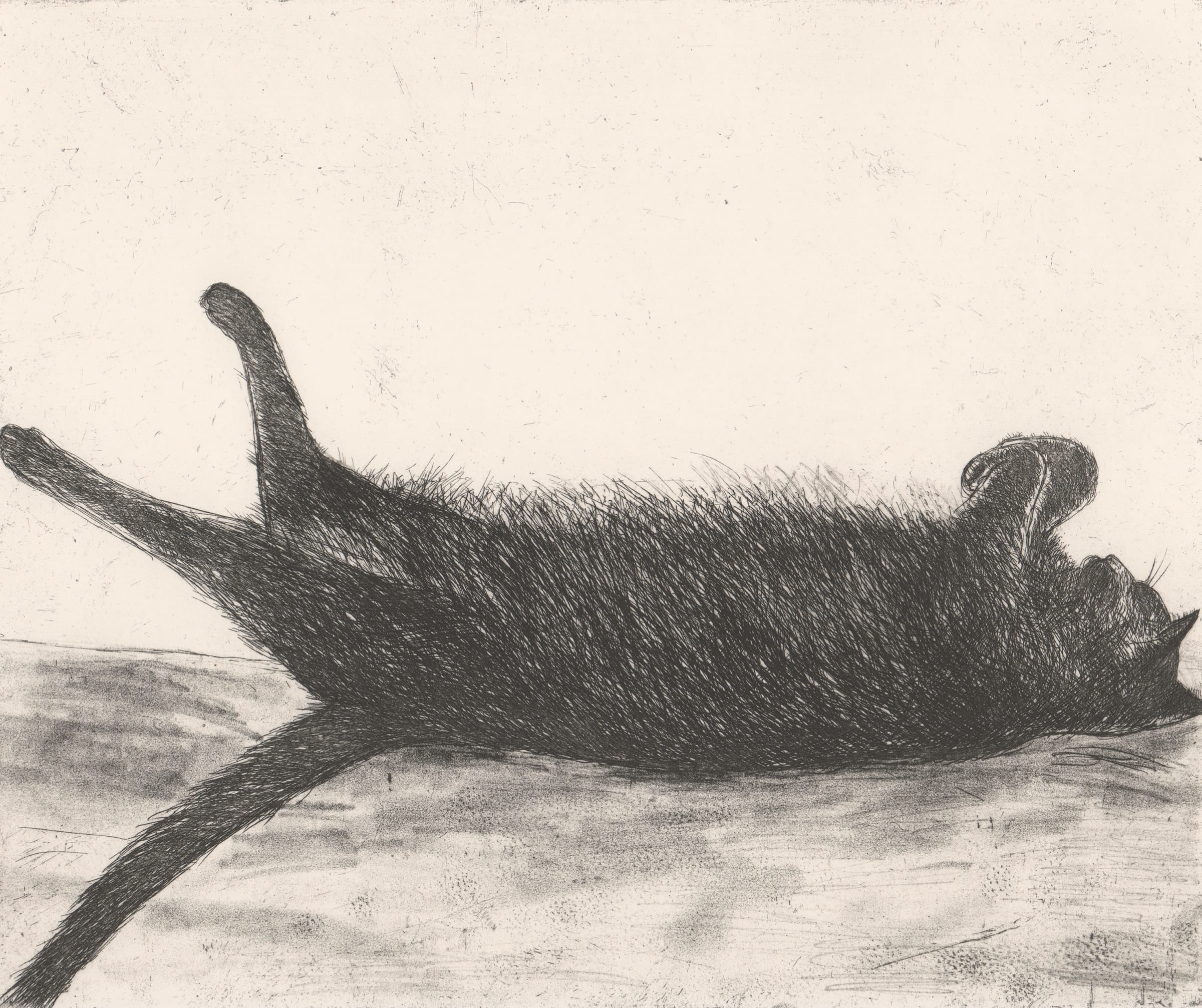 Elizabeth Blackadder, Amalia Sleeping, 2003 | shop.glasgowprintstudio.co.uk