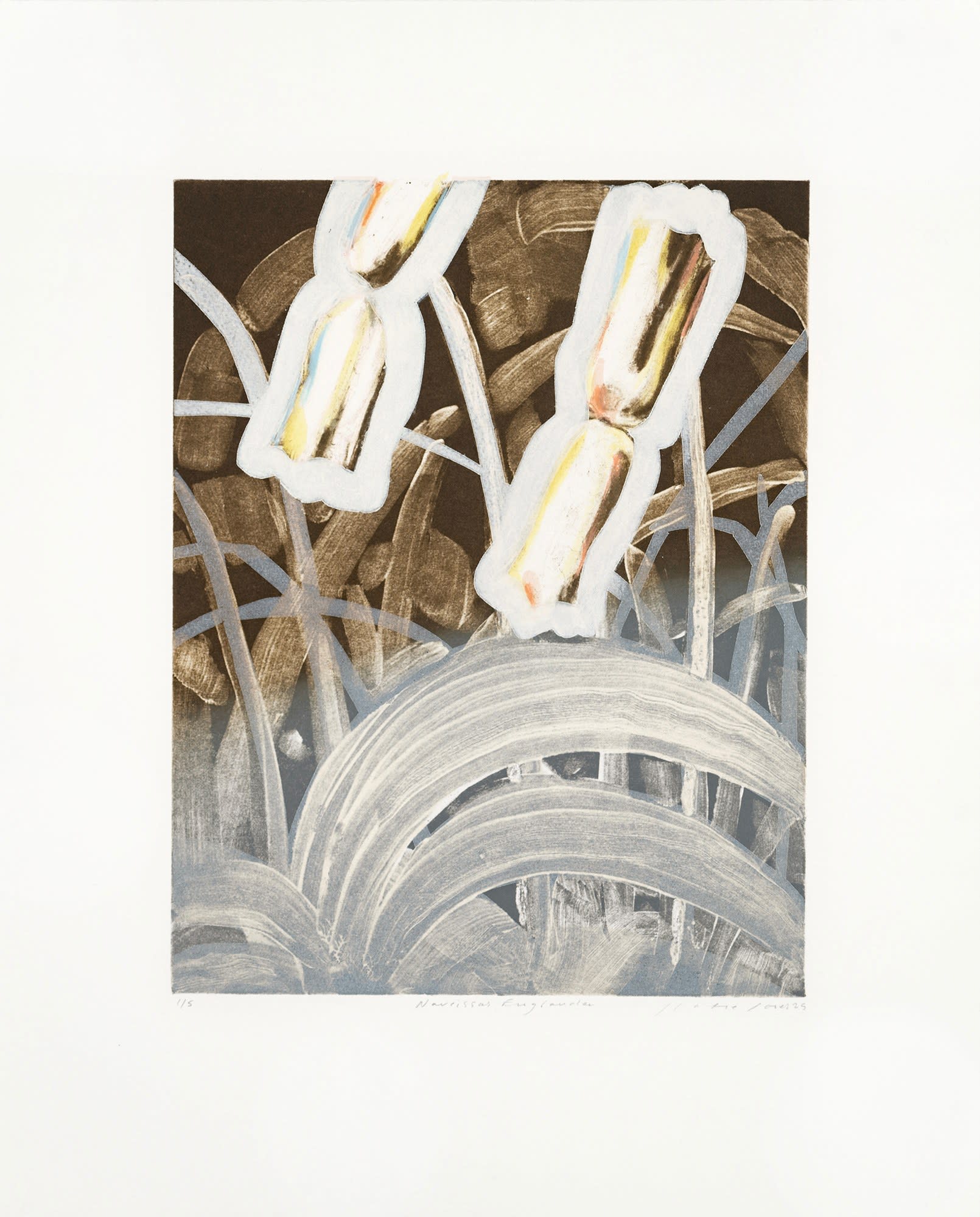 Katherine Jones, Narcissus Englander | shop.glasgowprintstudio.co.uk