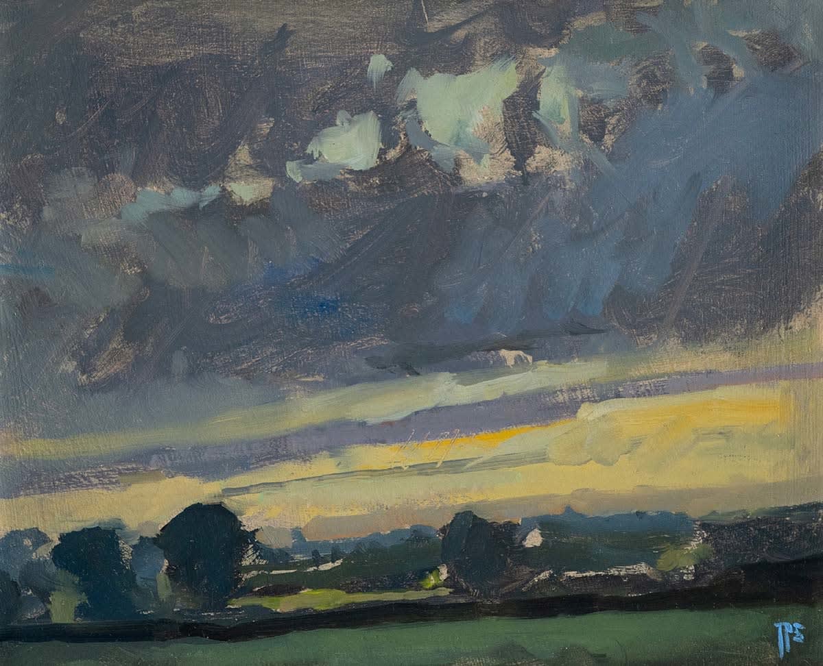 Tom Stevenson, Western Sky | GrandyArt