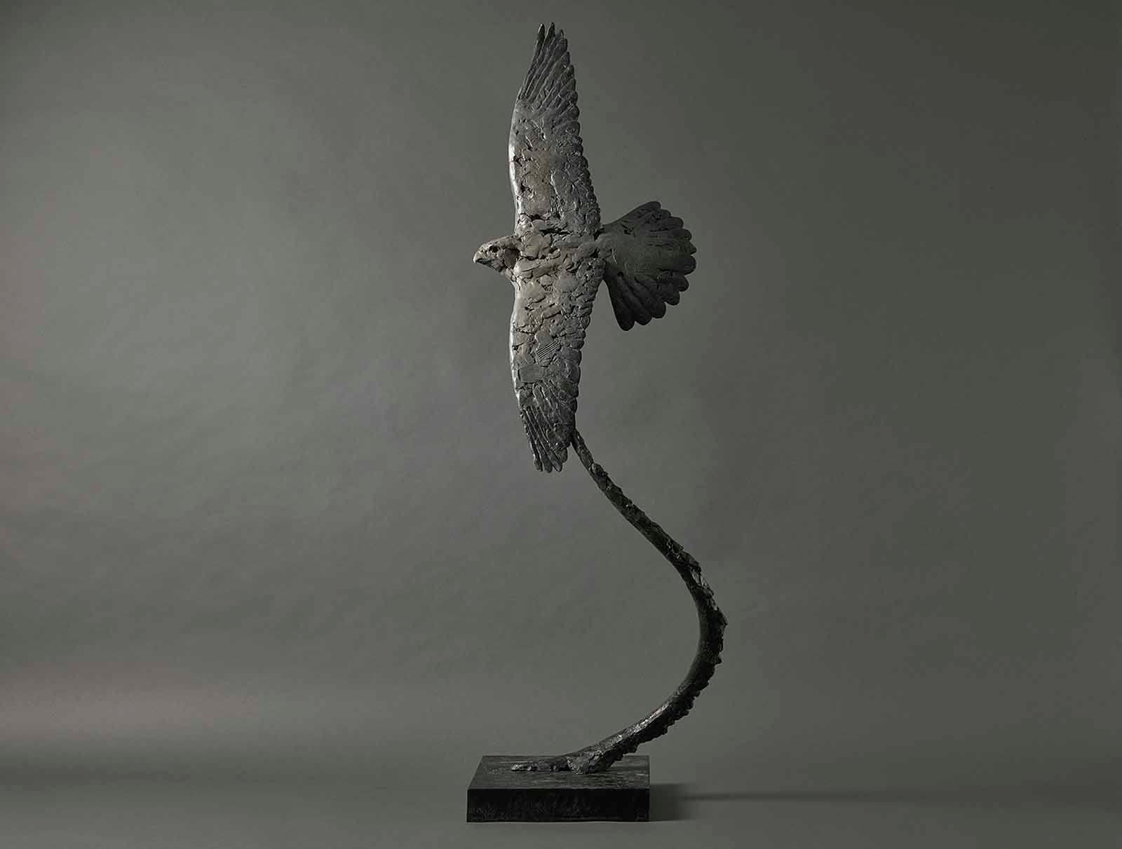 Fred Gordon, Peregrine Falcon | GrandyArt