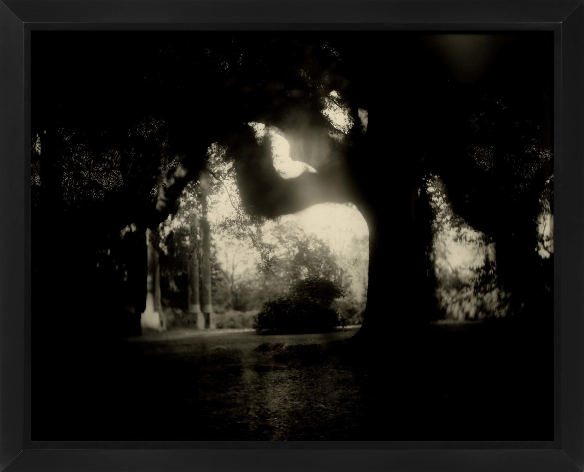 landscape sally mann