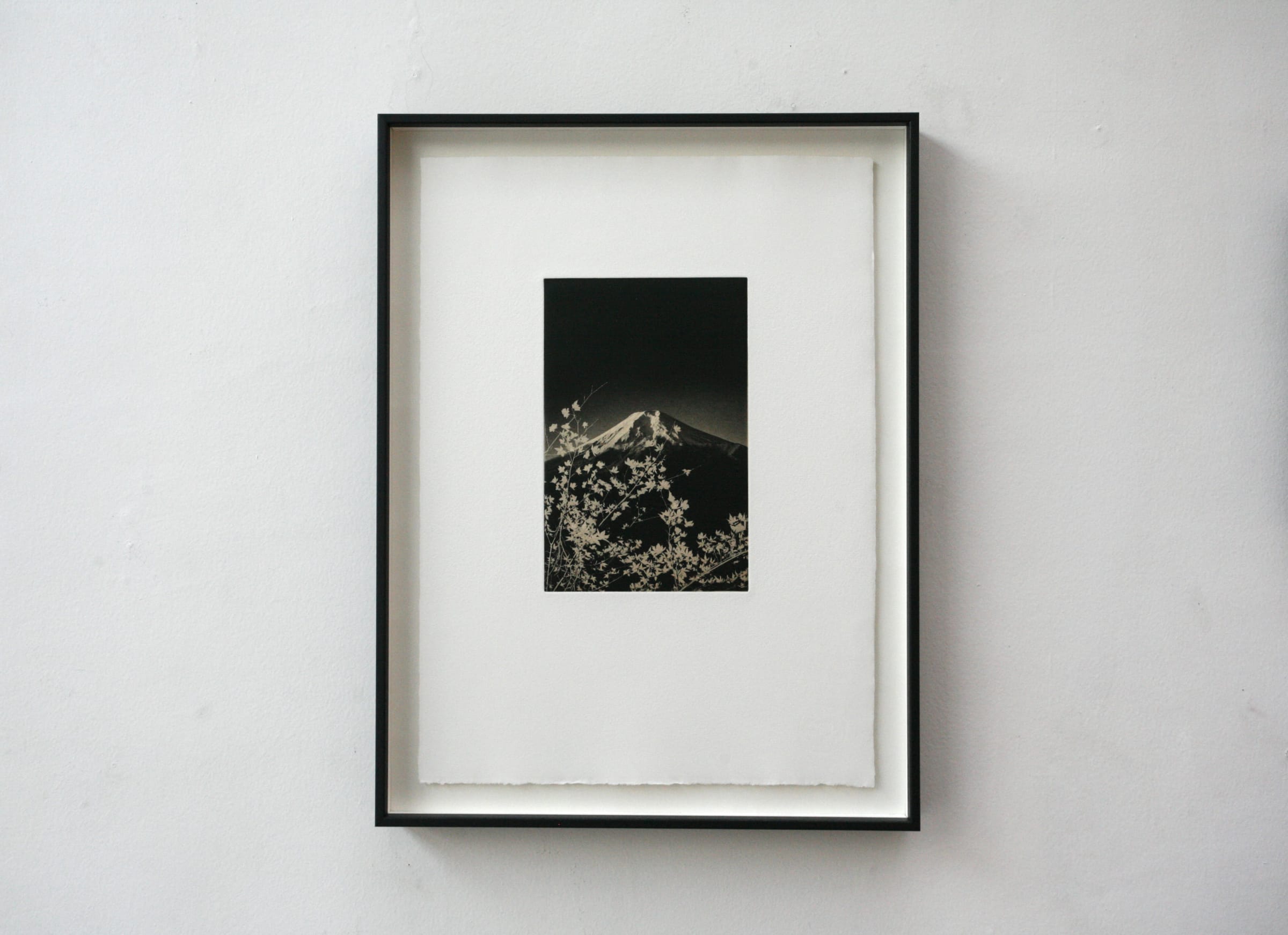 Paul Cupido, Fuji #3, 2019 | IBASHO