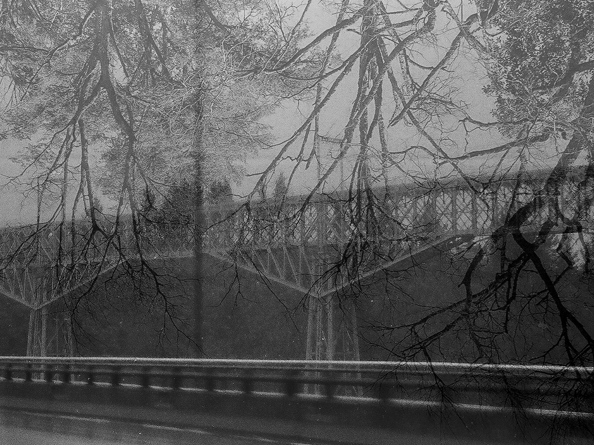 Sebastián Márquez, Transmutar I, 2023 | ISABEL CROXATTO GALERIA