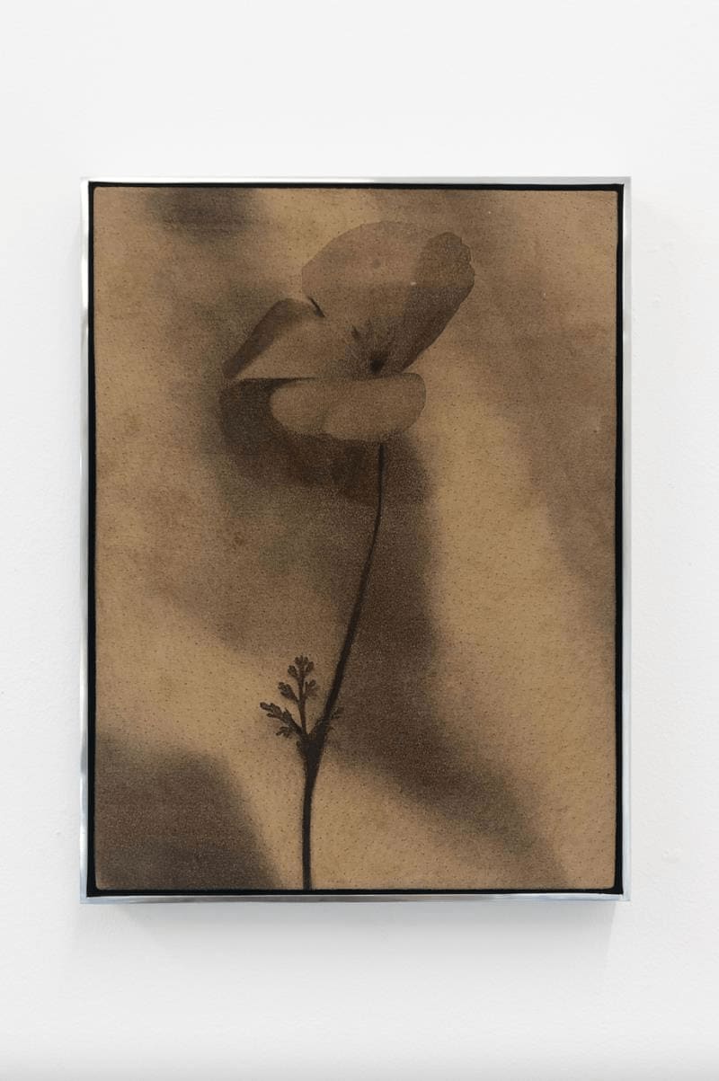 Poppy Jones, Spring, 2022 | Jason Haam