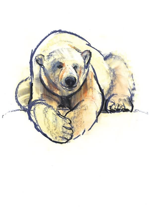 Mark Adlington, Male Cub, 2016 | John Martin Gallery