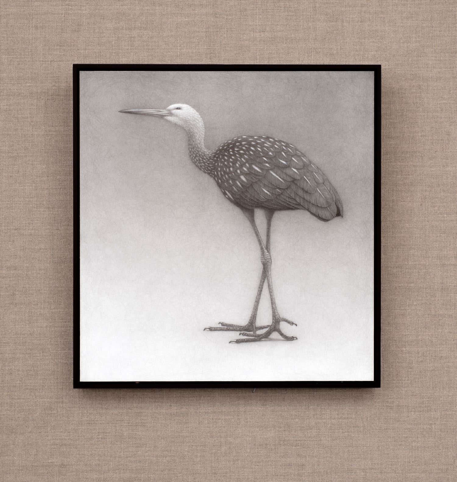 Lee Andre, Limpkin , 2024 | Jonathan Cooper