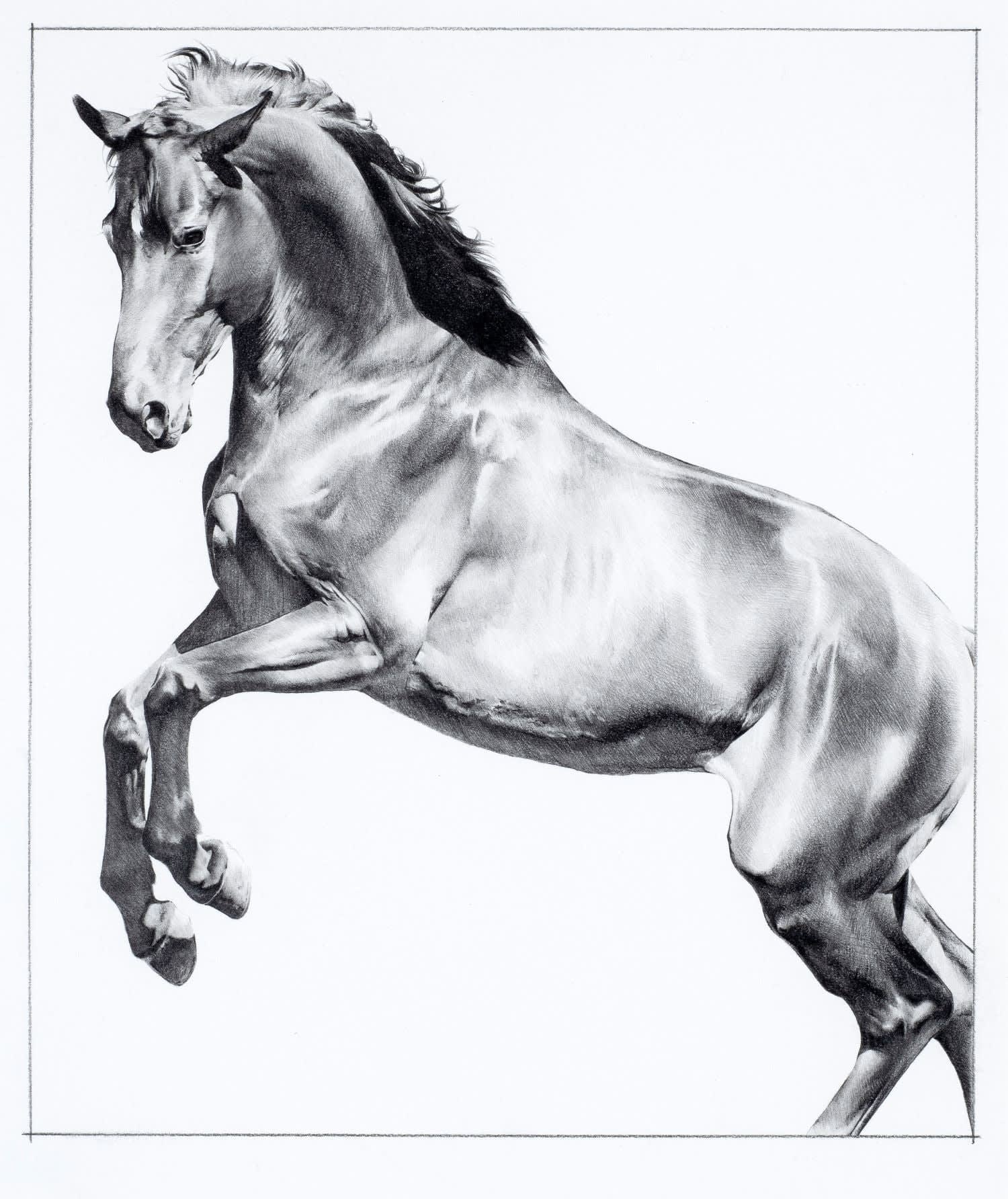 Joseph Black, Étude, 2025 | Jonathan Cooper