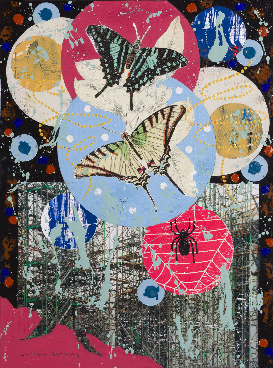 Colin Brown, Papillio, 2025 | Kilmorack Gallery