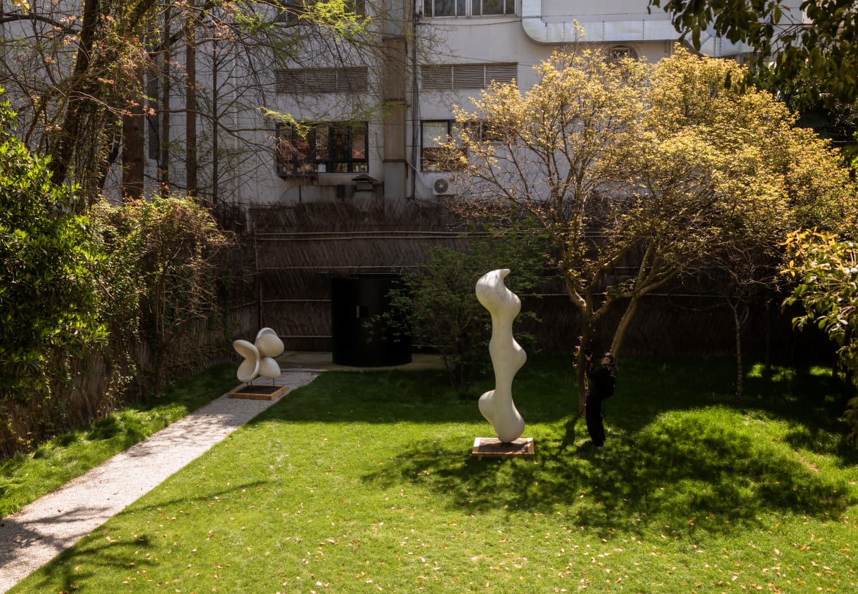 Zhang Ning 張寧, Growth Series No.10 “生长”系列之十, 2022 | Leo Gallery