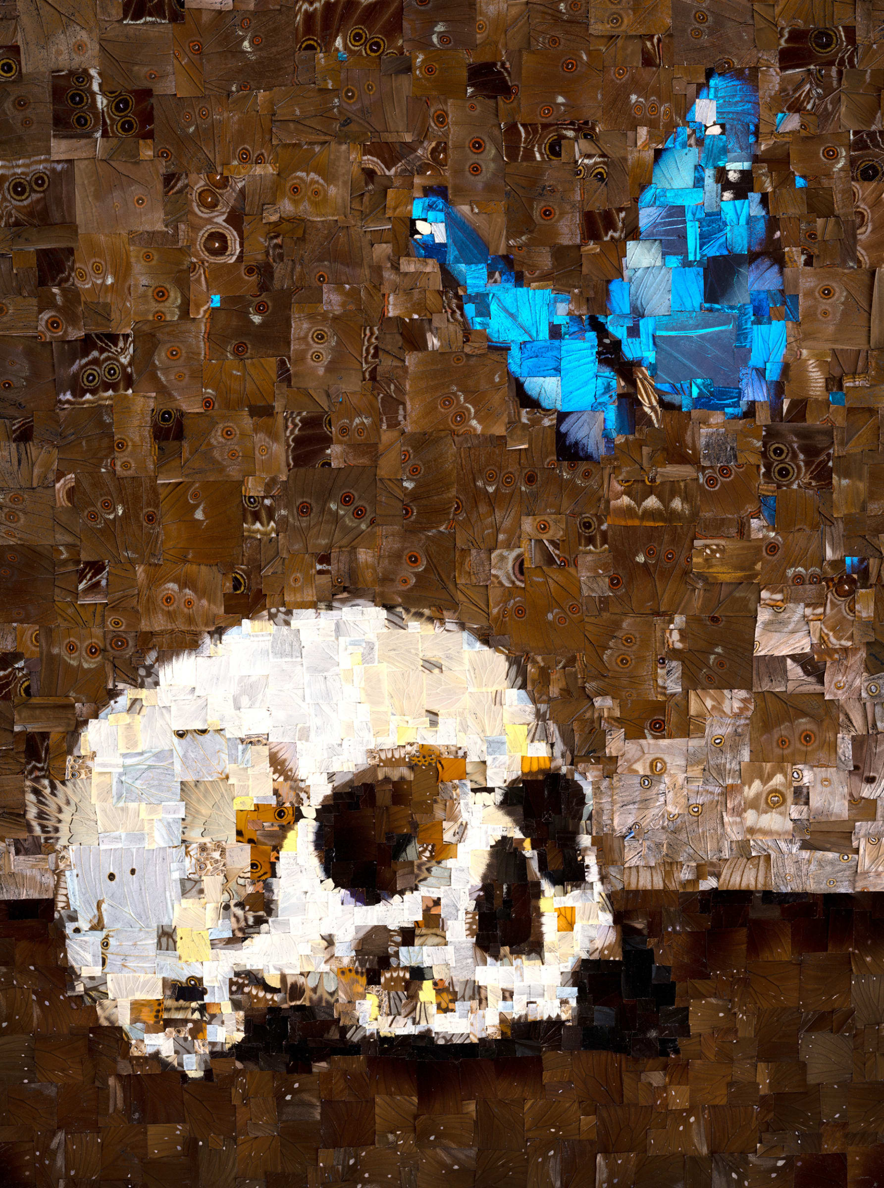 Benjamin Timpson, Fragile Eternity, 2024 | Lisa Sette Gallery
