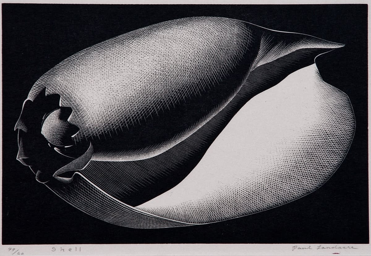 Paul Landacre, Shell, 1935 | London Original Print Fair