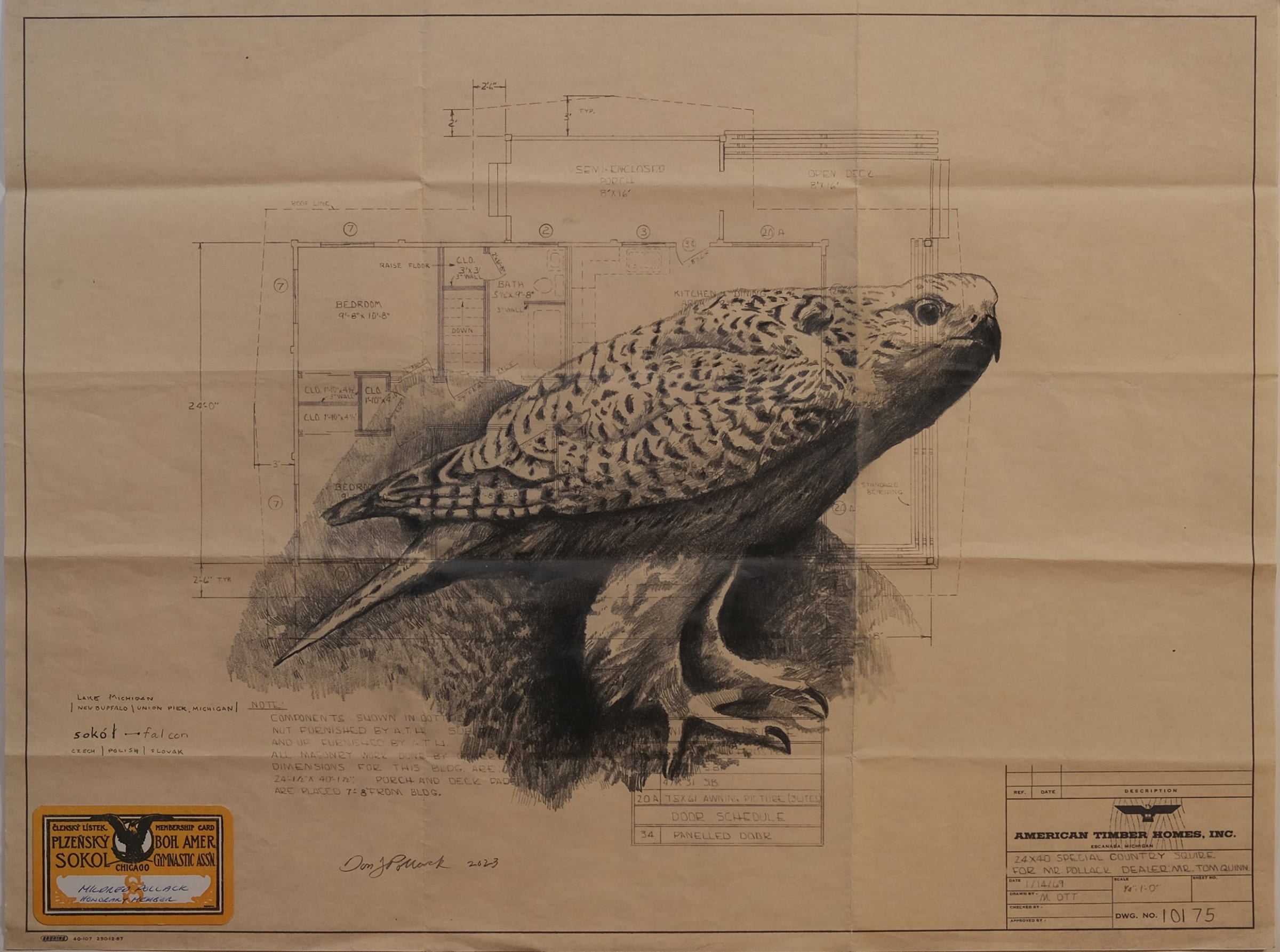 Don Pollack, Sokol Falcon, Big Timber, 2024 | Marcia Wood Gallery