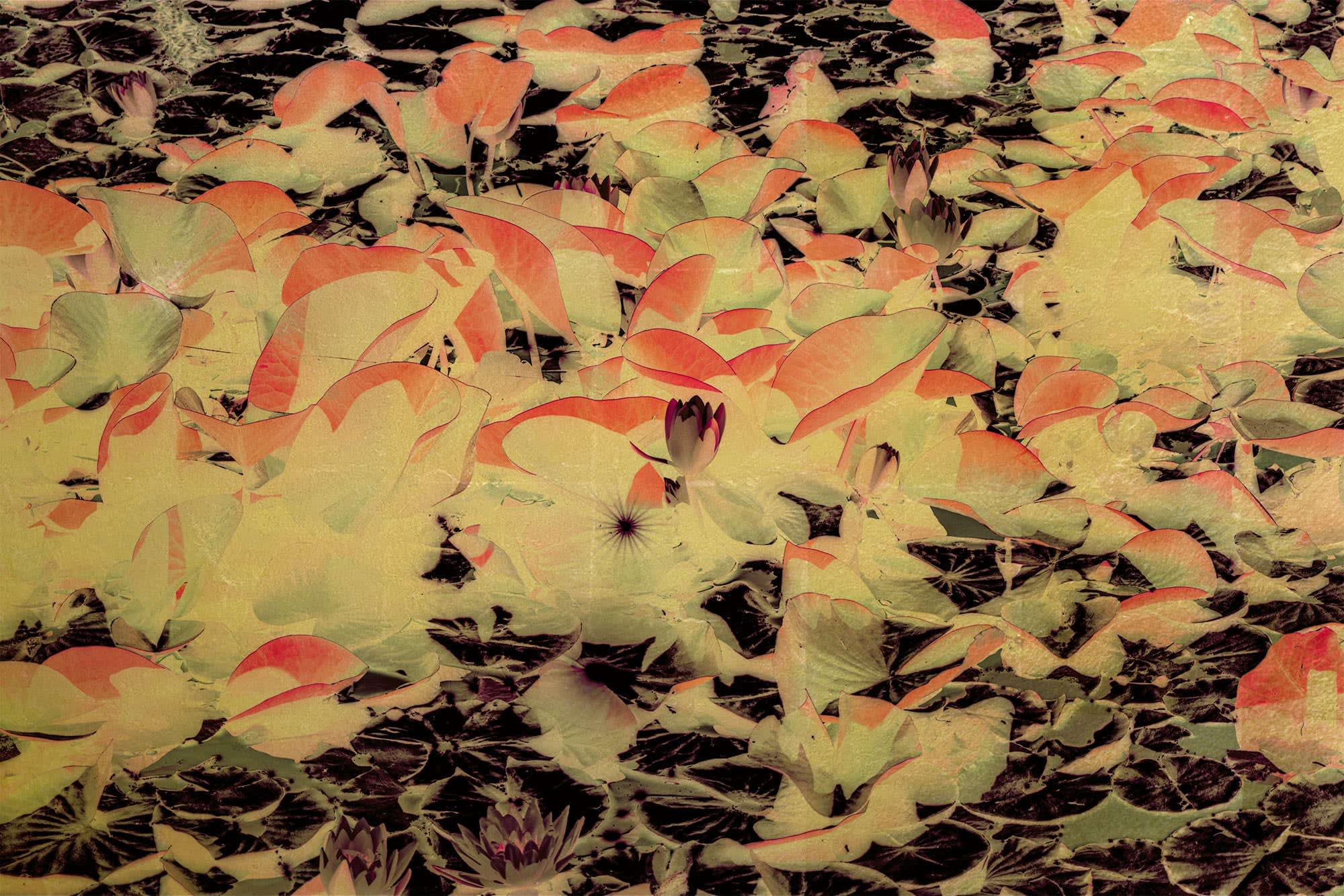 Albarrán Cabrera, The Indestructible #70035, 2025 | Marshall Gallery