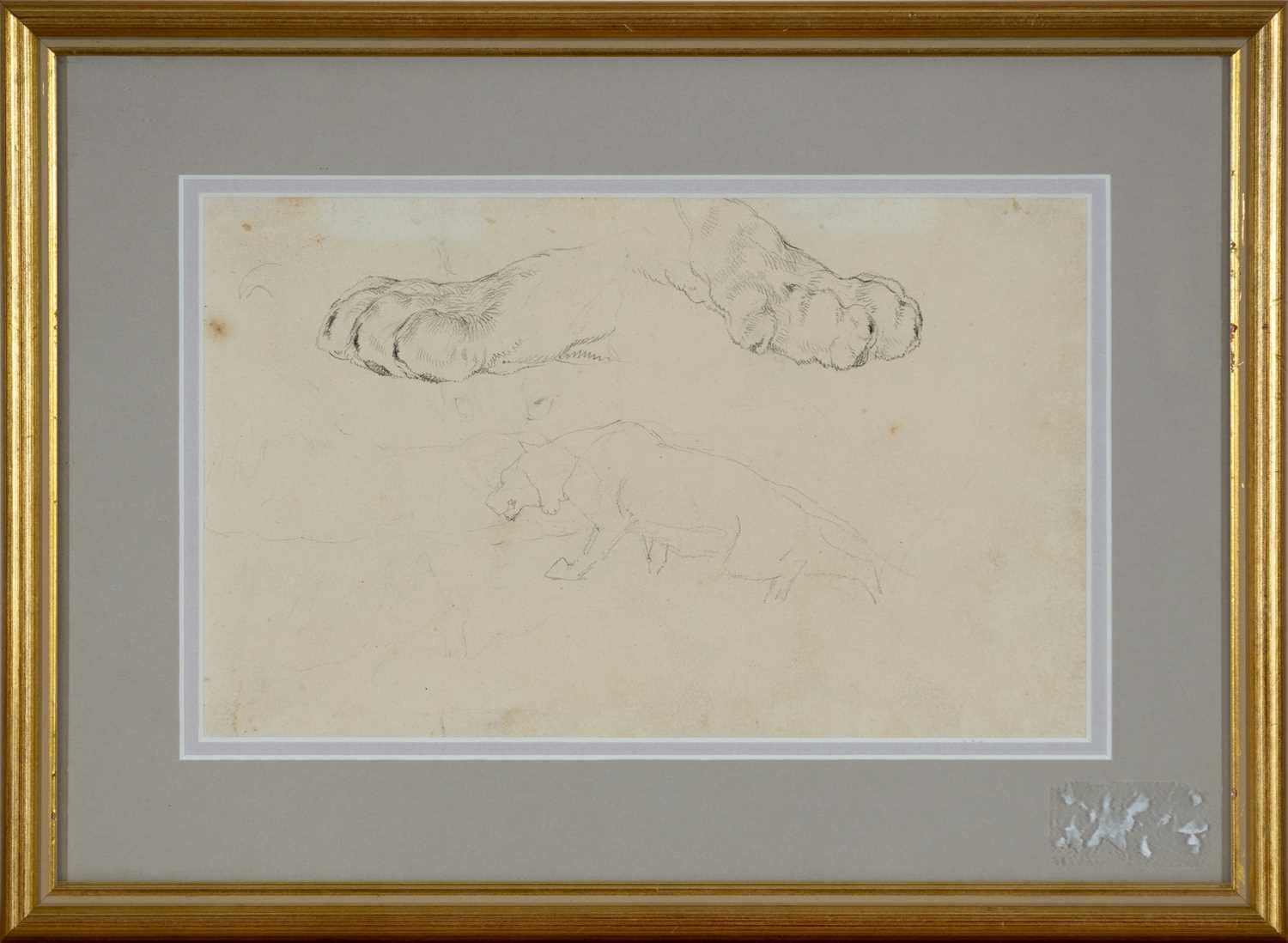 Sir Edwin Henry Landseer RA, Studies of a Lion and Lion's Paw | McEwan ...
