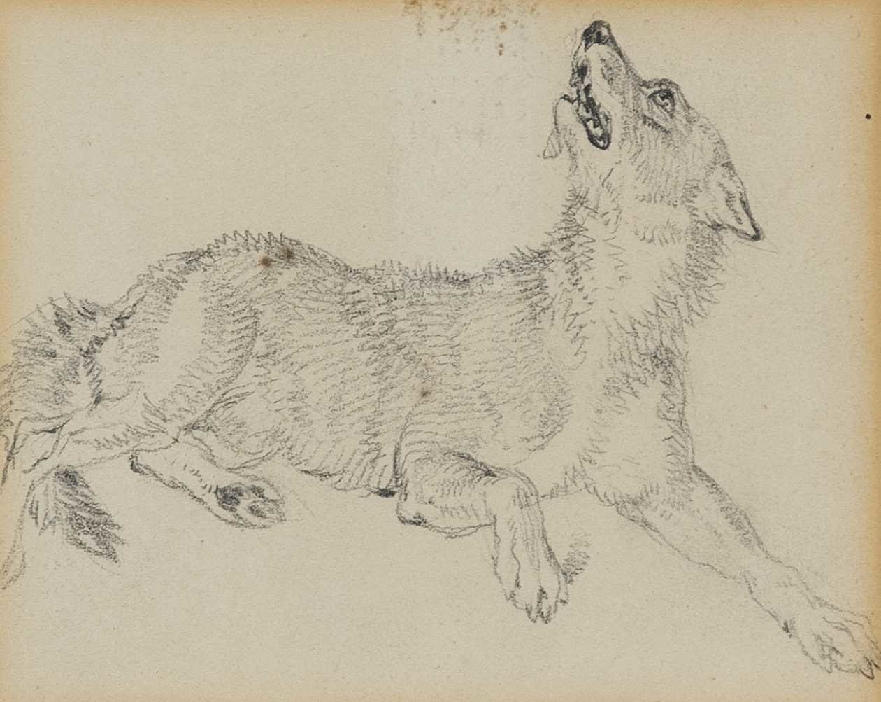 Sir Edwin Henry Landseer RA, The Wolf | McEwan Gallery