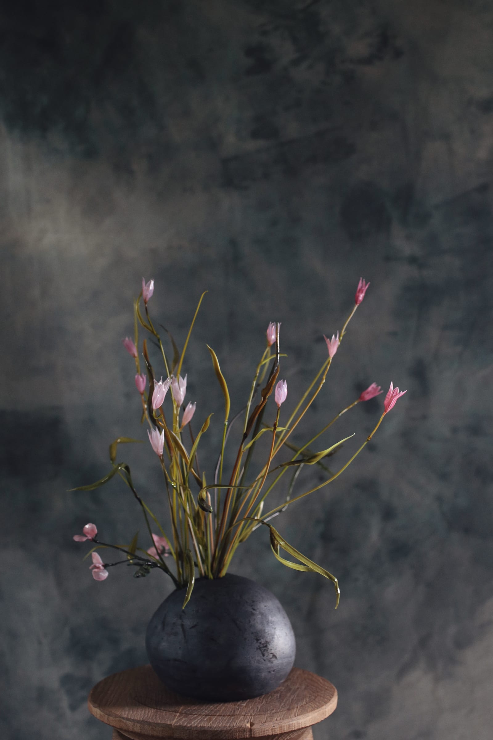 Anastasia Pribelskaya, Campanula, 2025 | Mia Karlova Galerie