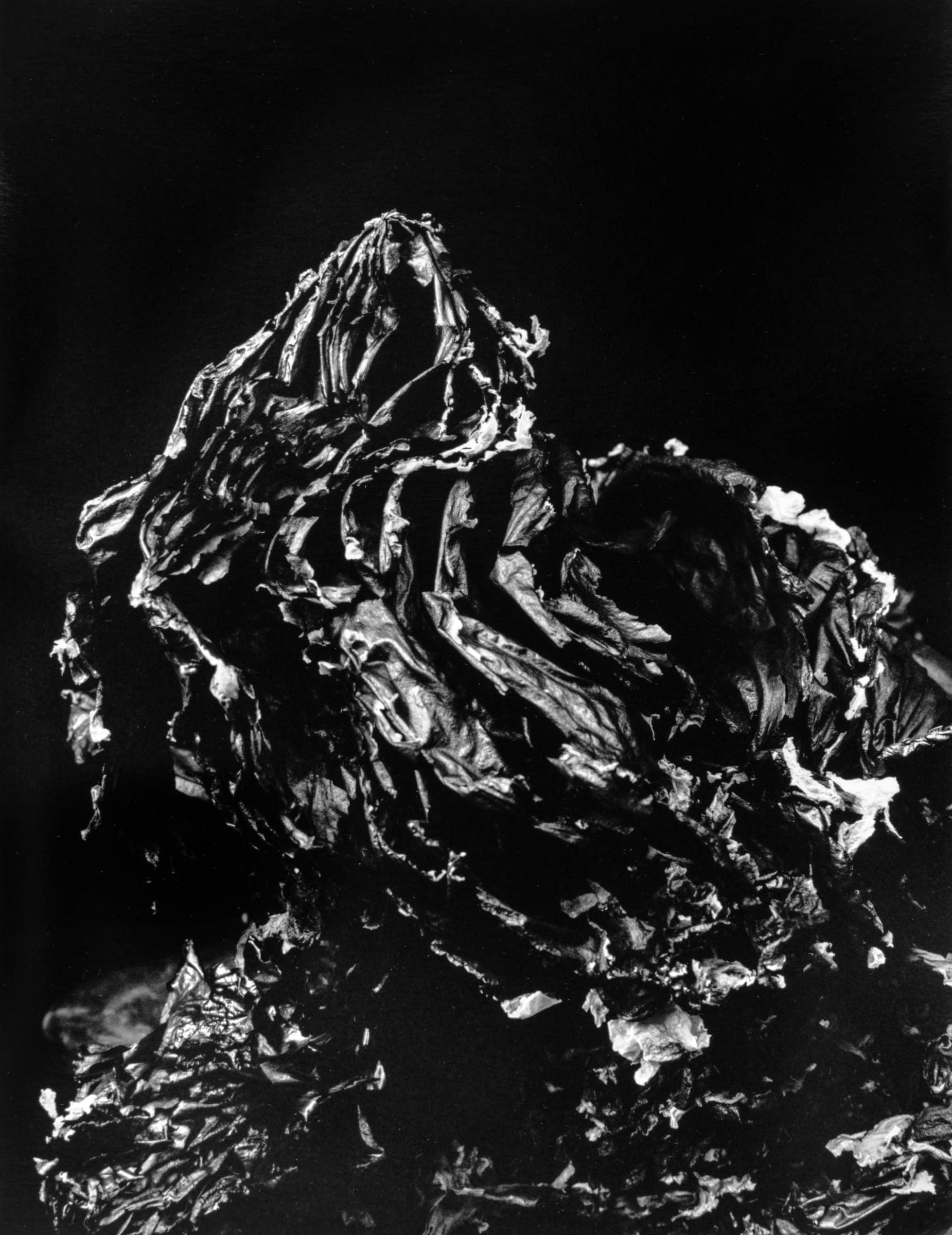 Hitoshi Fugo, KAMI 34, 2024 | Miyako Yoshinaga
