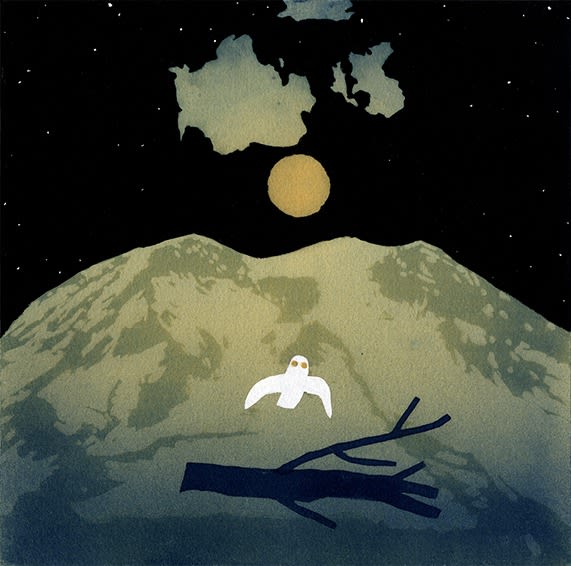 Casey Roberts, Owl Series no. 9 | Momentum Gallery