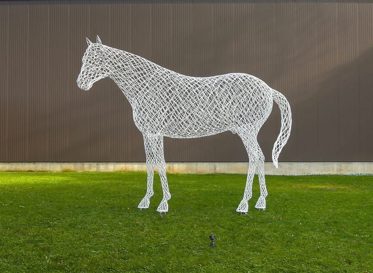 Peter Busby, White Horse, 2023 | Morrison Gallery
