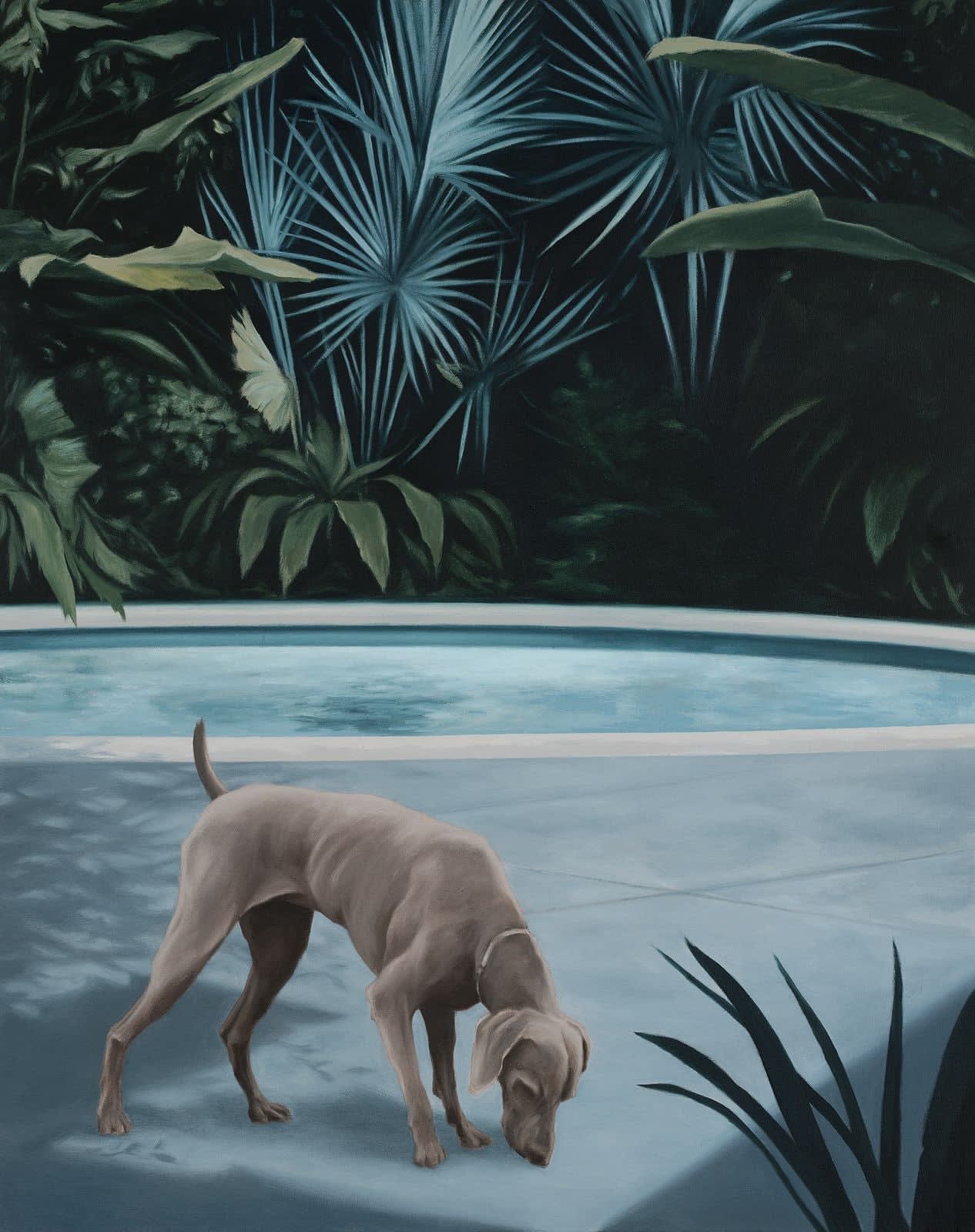 Andrew Kayser, Morning Solitude, 2024 | Thefinchproject.com