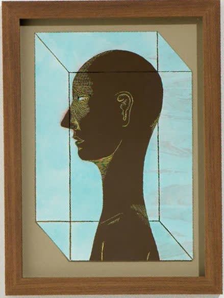 Ed Templeton, Interesting specimen (brown head in box), 2008 | NILS STÆRK