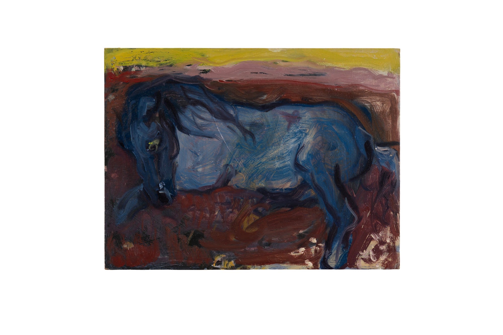 Serena Rowe, Blue Horse (After Bruce Davidson), 2025 | 155A Gallery