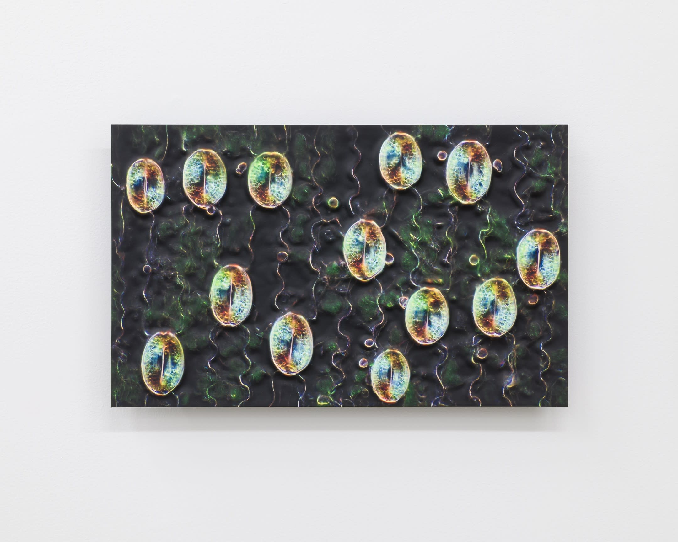 Elizabeth THOMSON - Works | Page Galleries