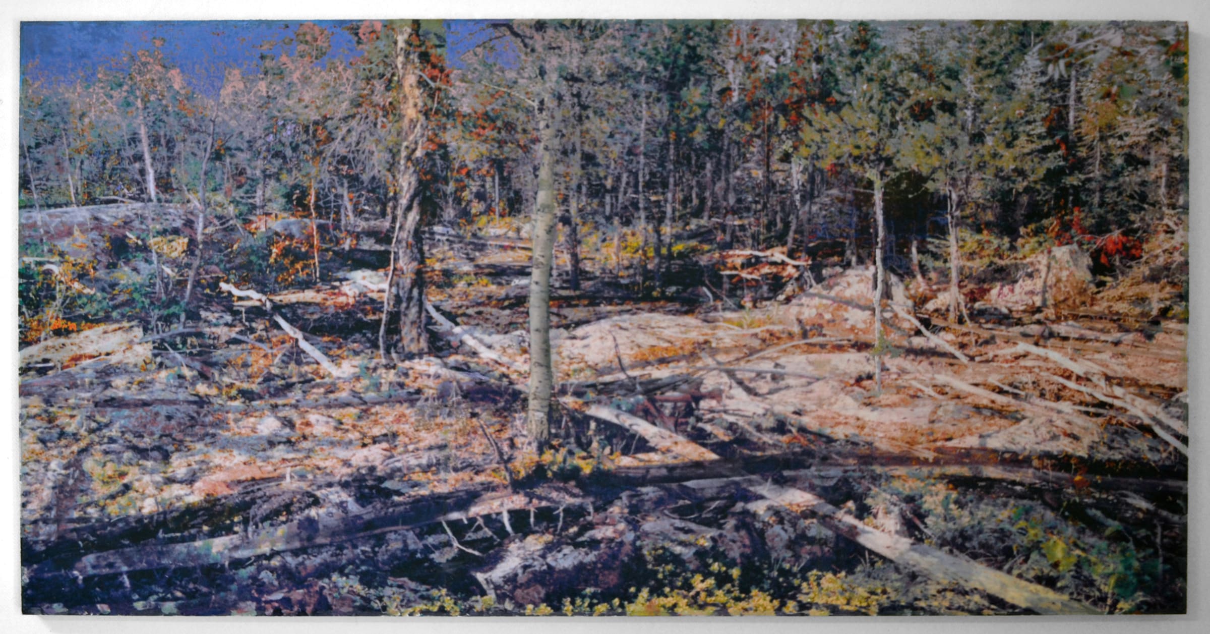 Robin Smith Peck, In the Woodlands #33, 2025 | Peter Robertson Gallery